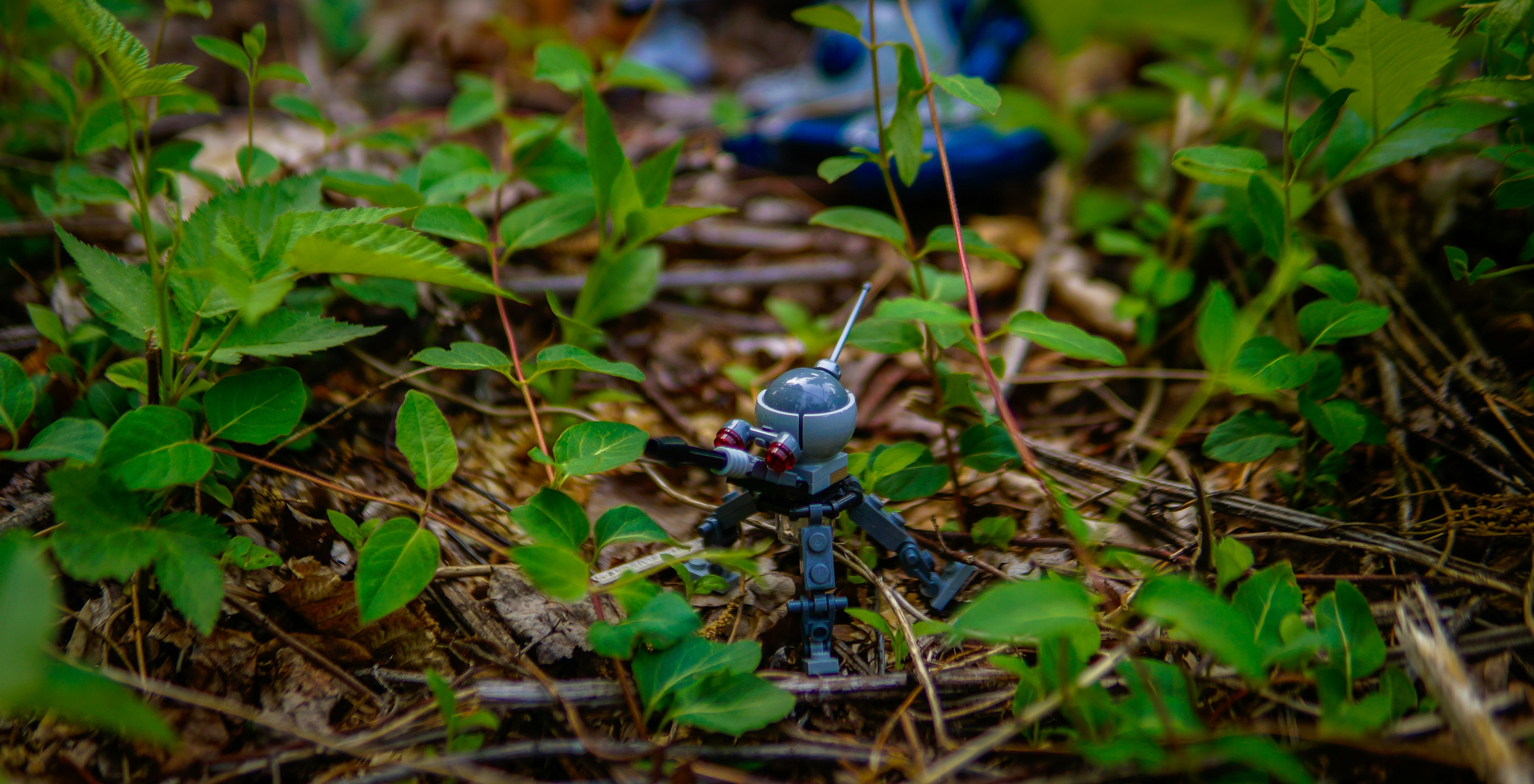 Tiny Scout Amid Green Underbrush