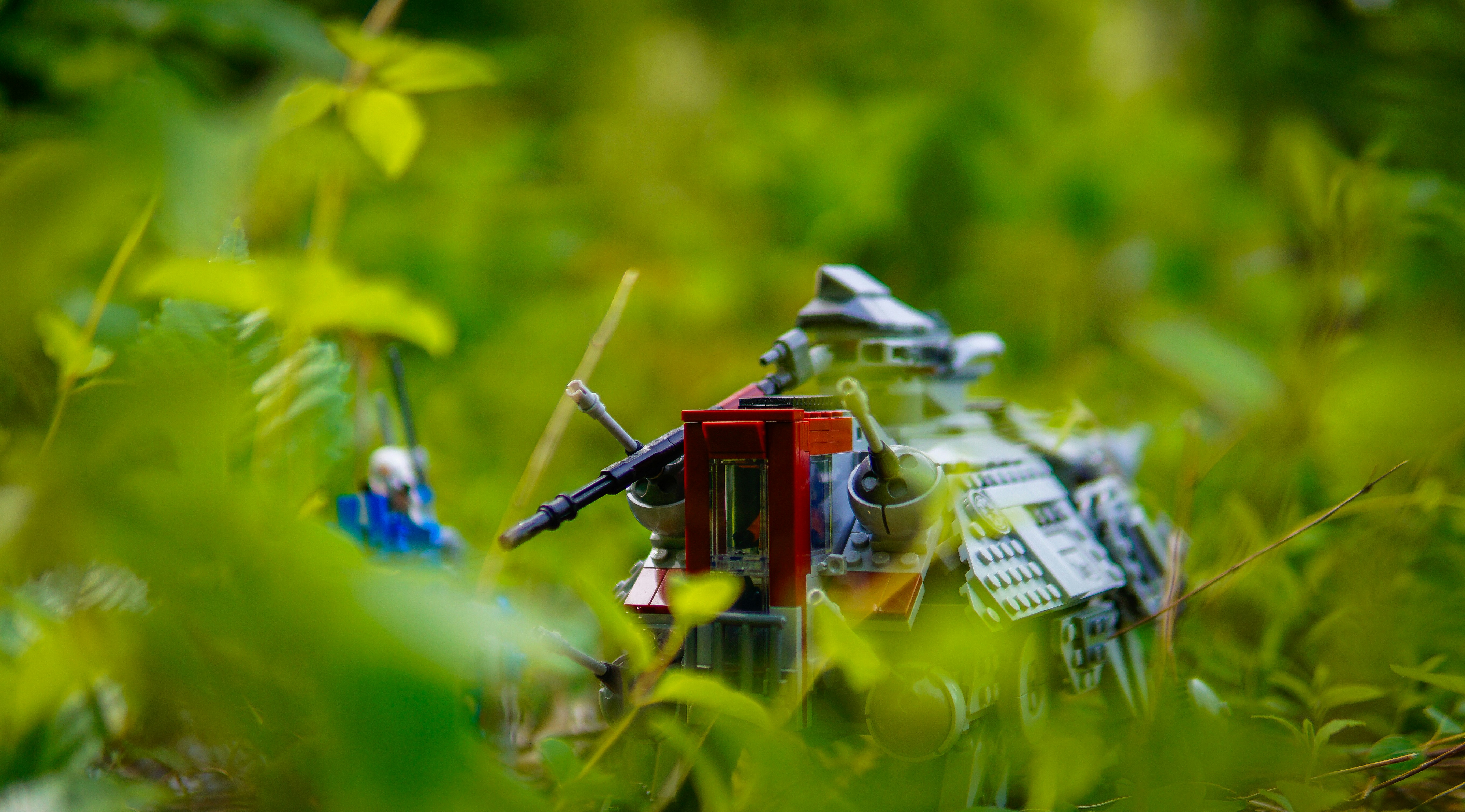 Hidden Tank Amid Green Veil: A Tiny War Machine Emerges