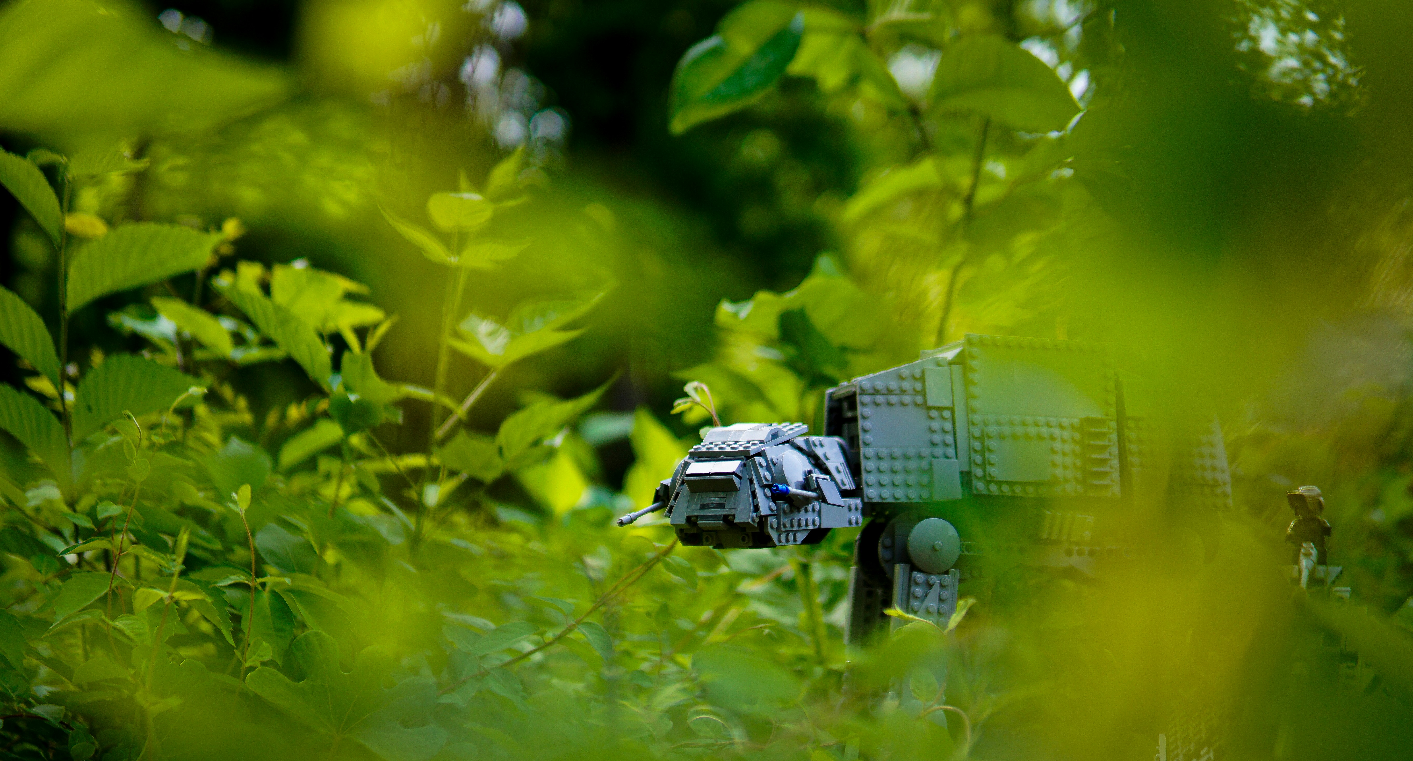 Hidden Mechanisms in the Green Corridor