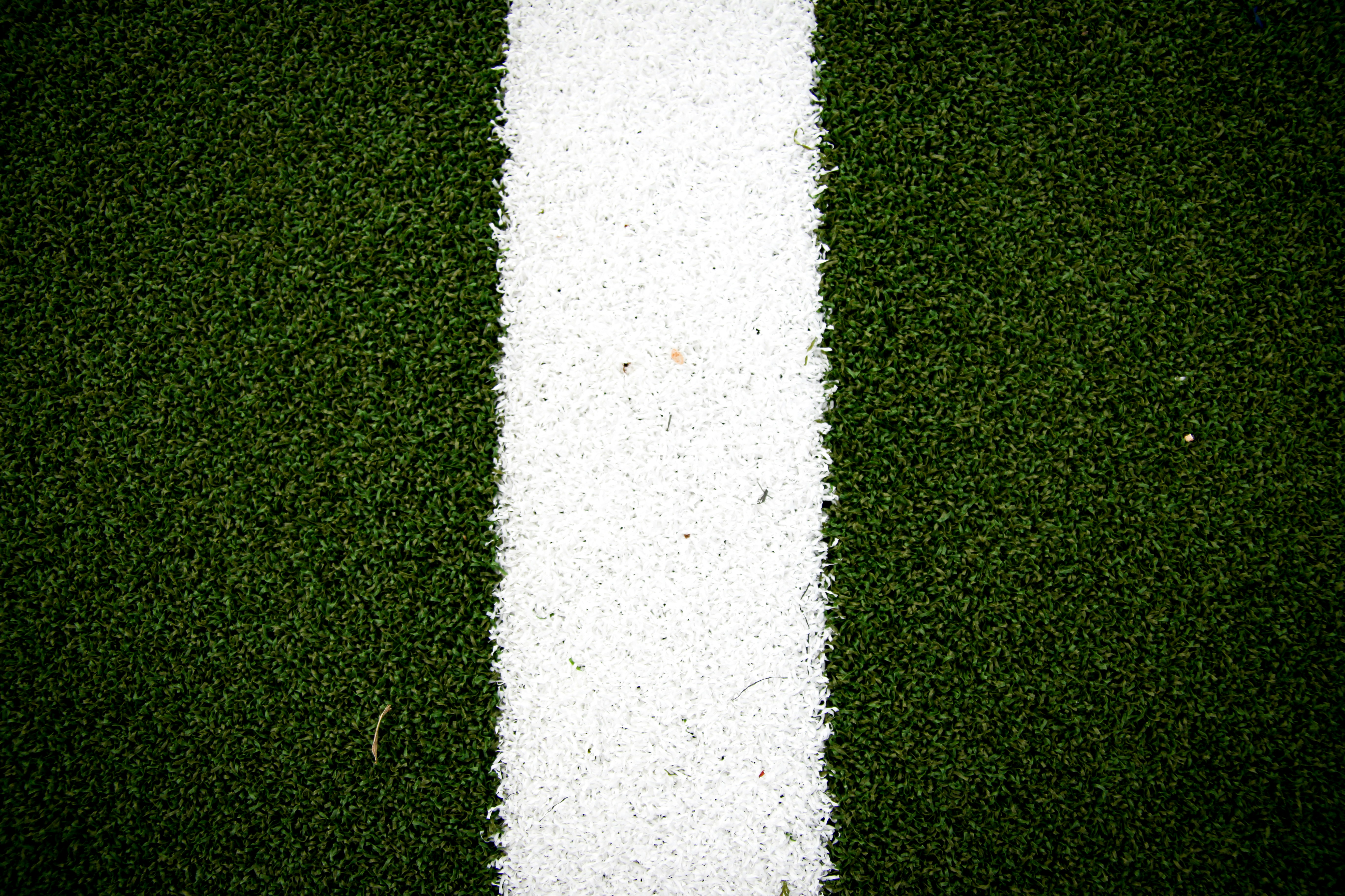 White Stripe on Turf: A Micro View into a Field Mark