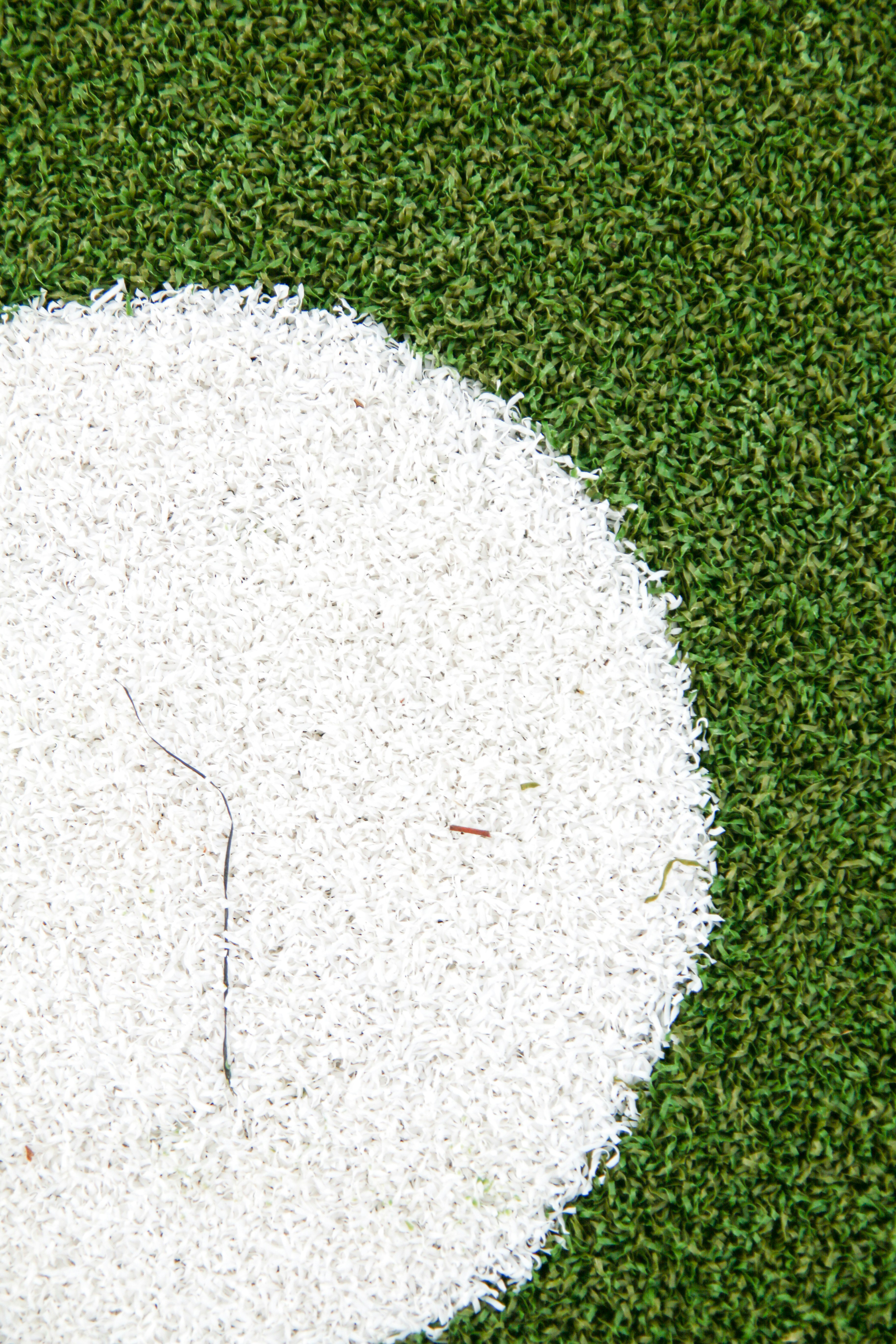 Curved white Line Against Green Turf: Close-Up of a Sanded Circle Edge