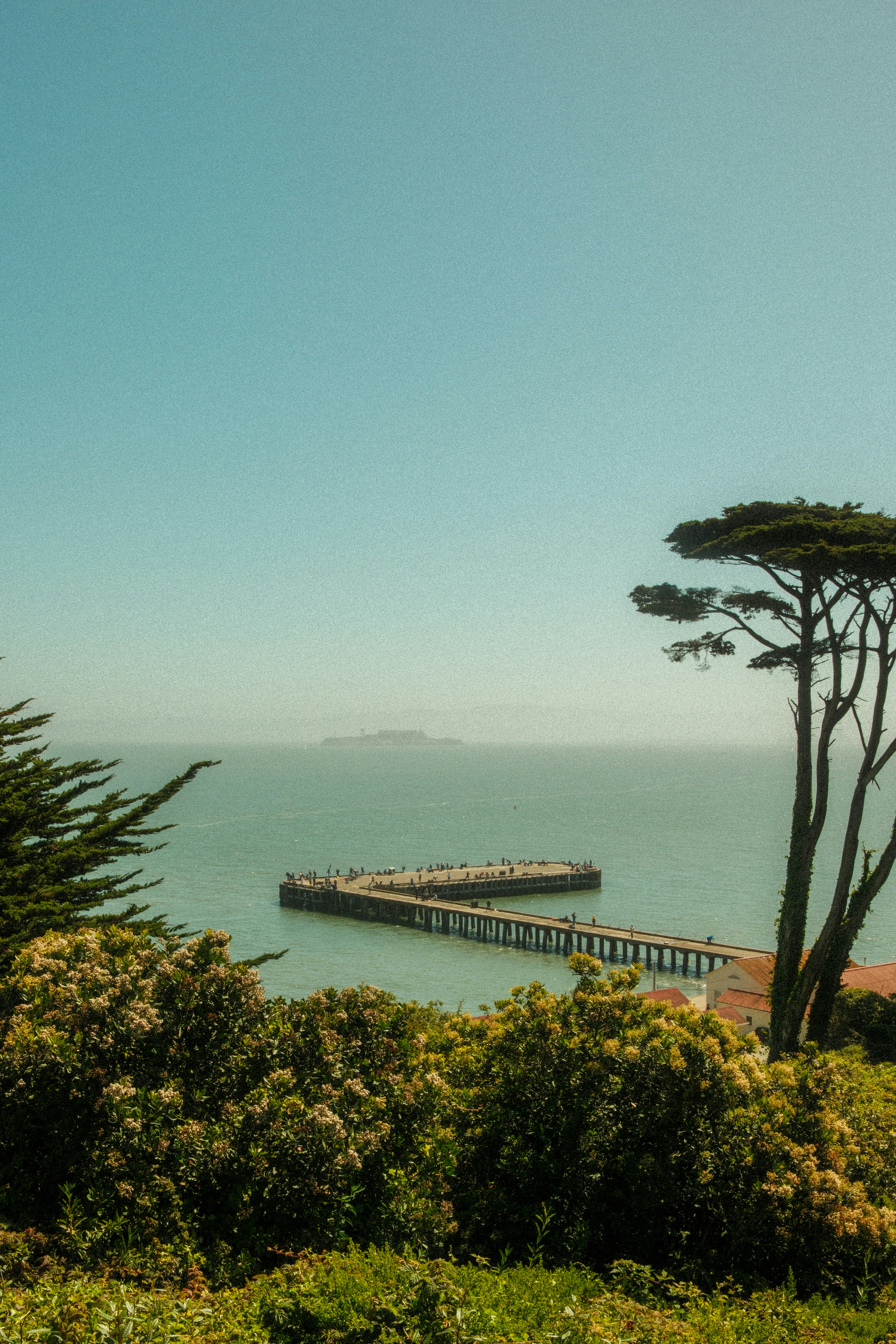 Pier extending into the ocean with trees and distant island.