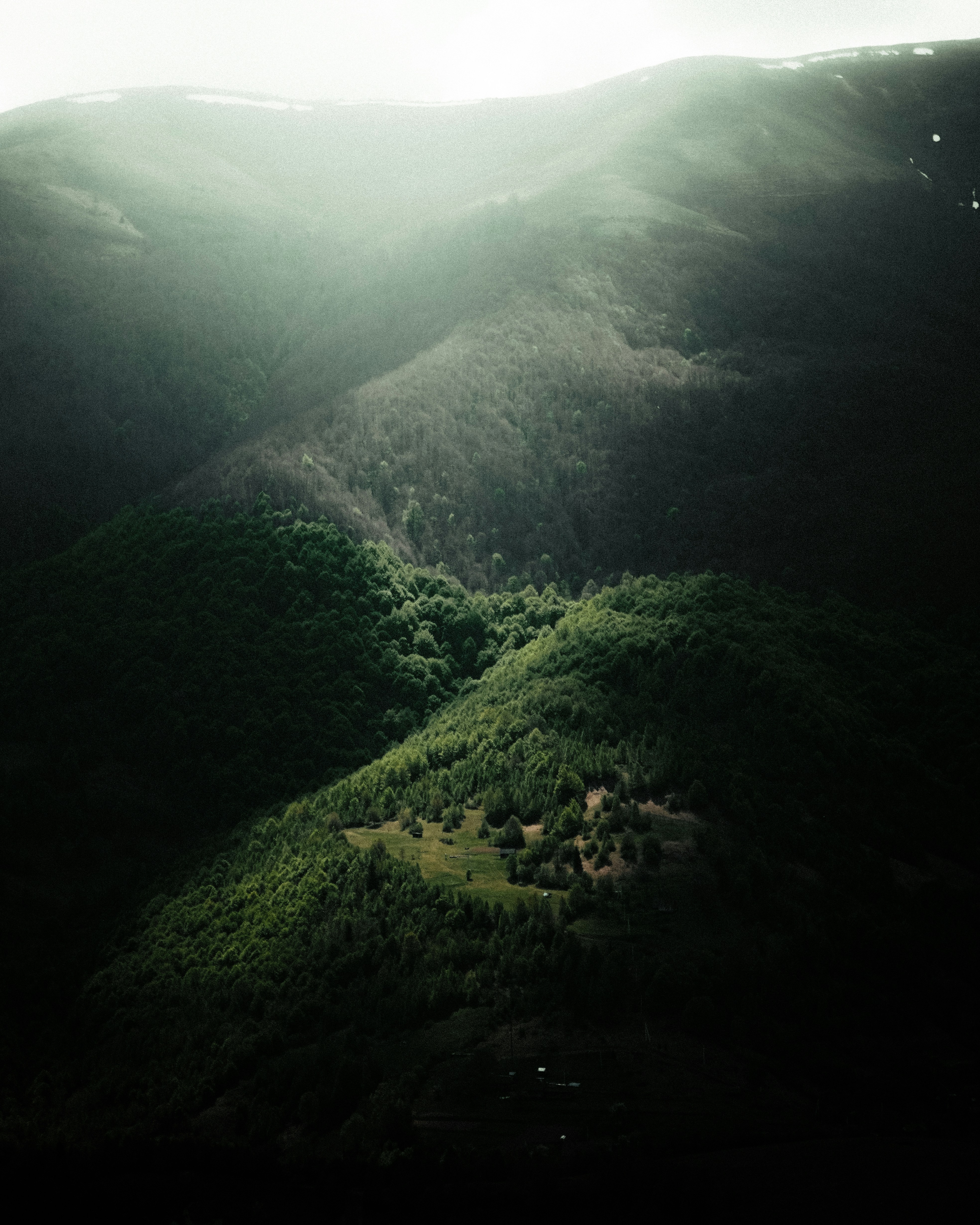 Emerald Valley Crescent: A Mountain Meadow Hidden in the Pines
