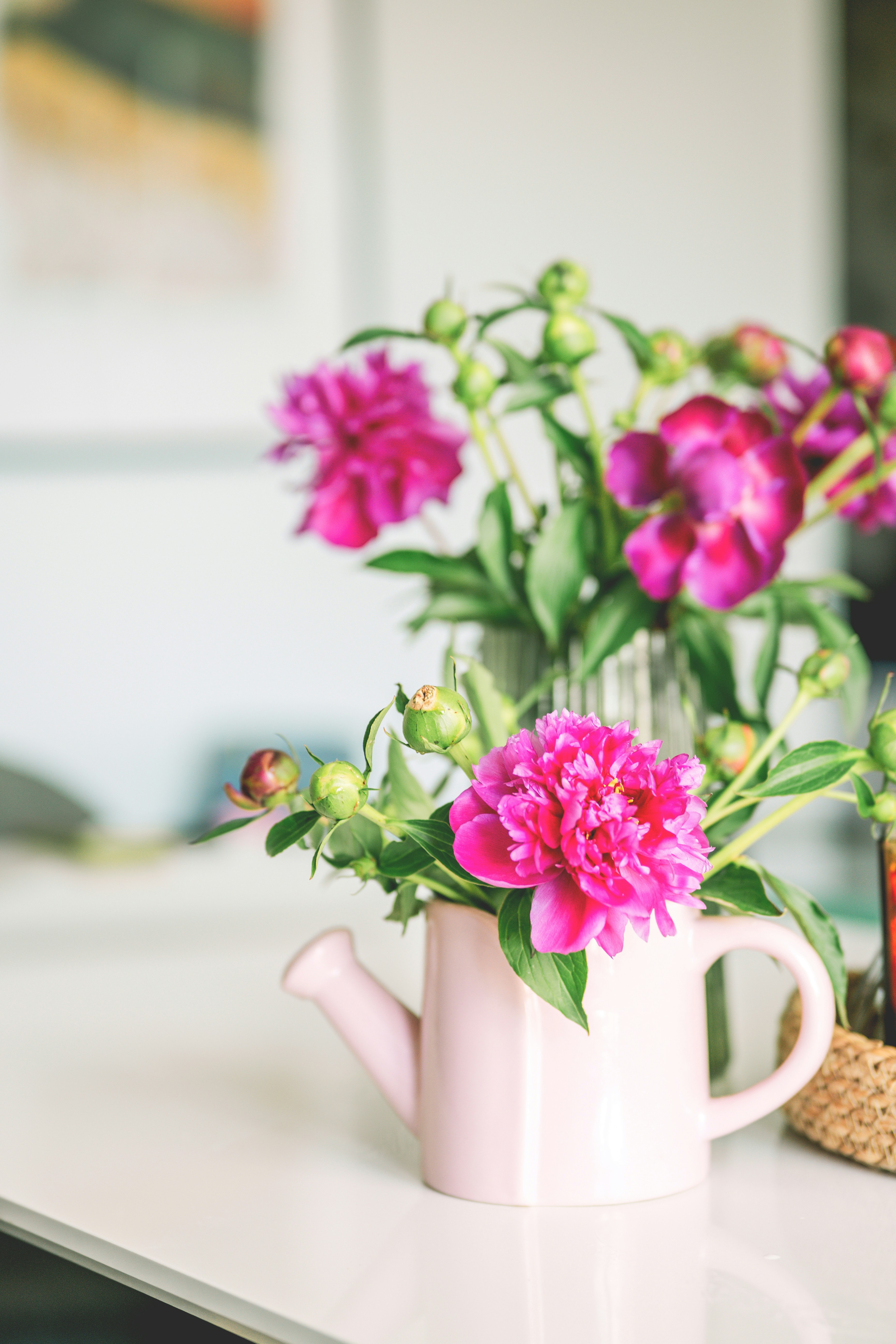 Pink Peony Still Life in a Soft-Focus Kitchen Corner
