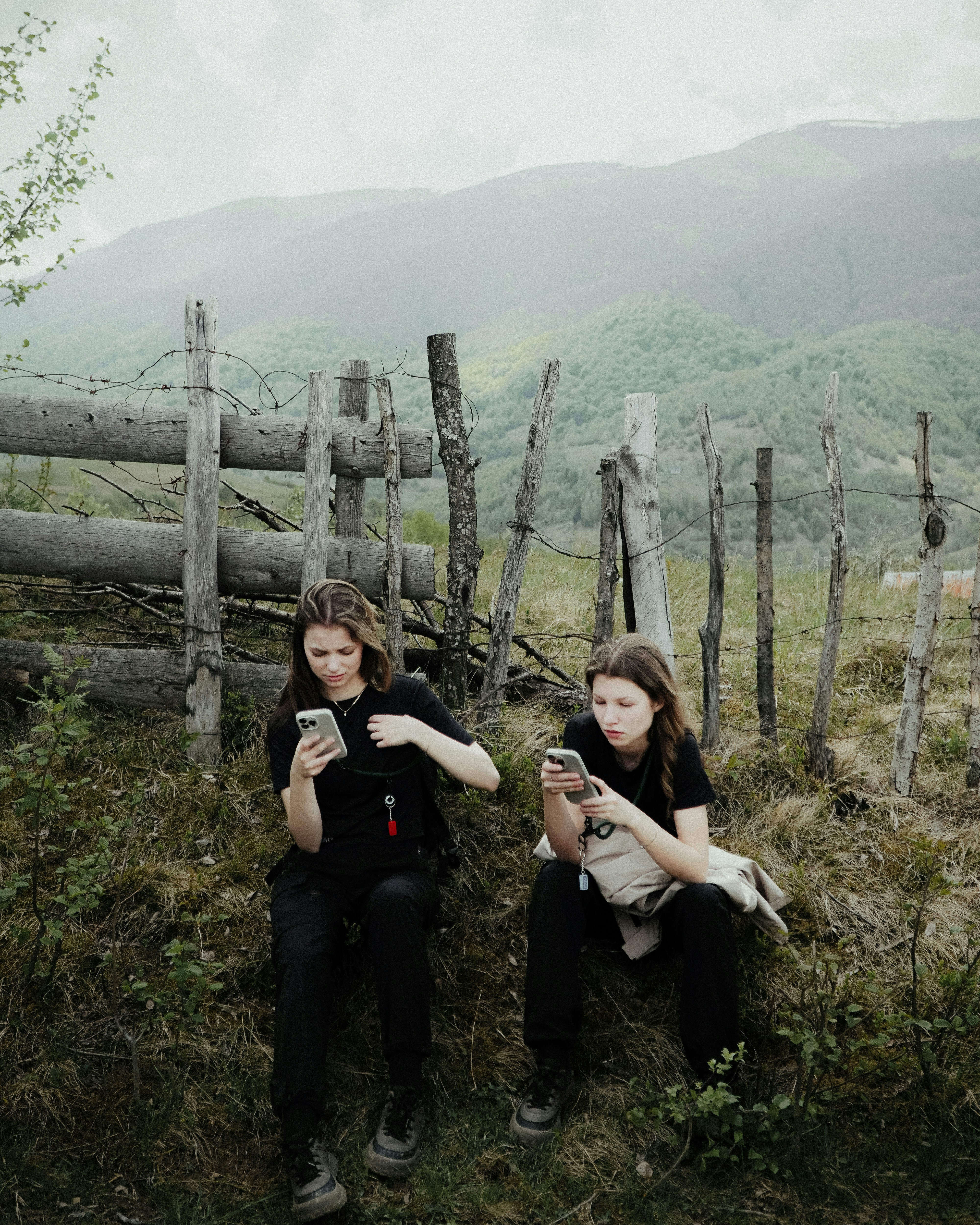 Two Friends Abandoned by the Fence, Glimpsed in Quiet Terrain