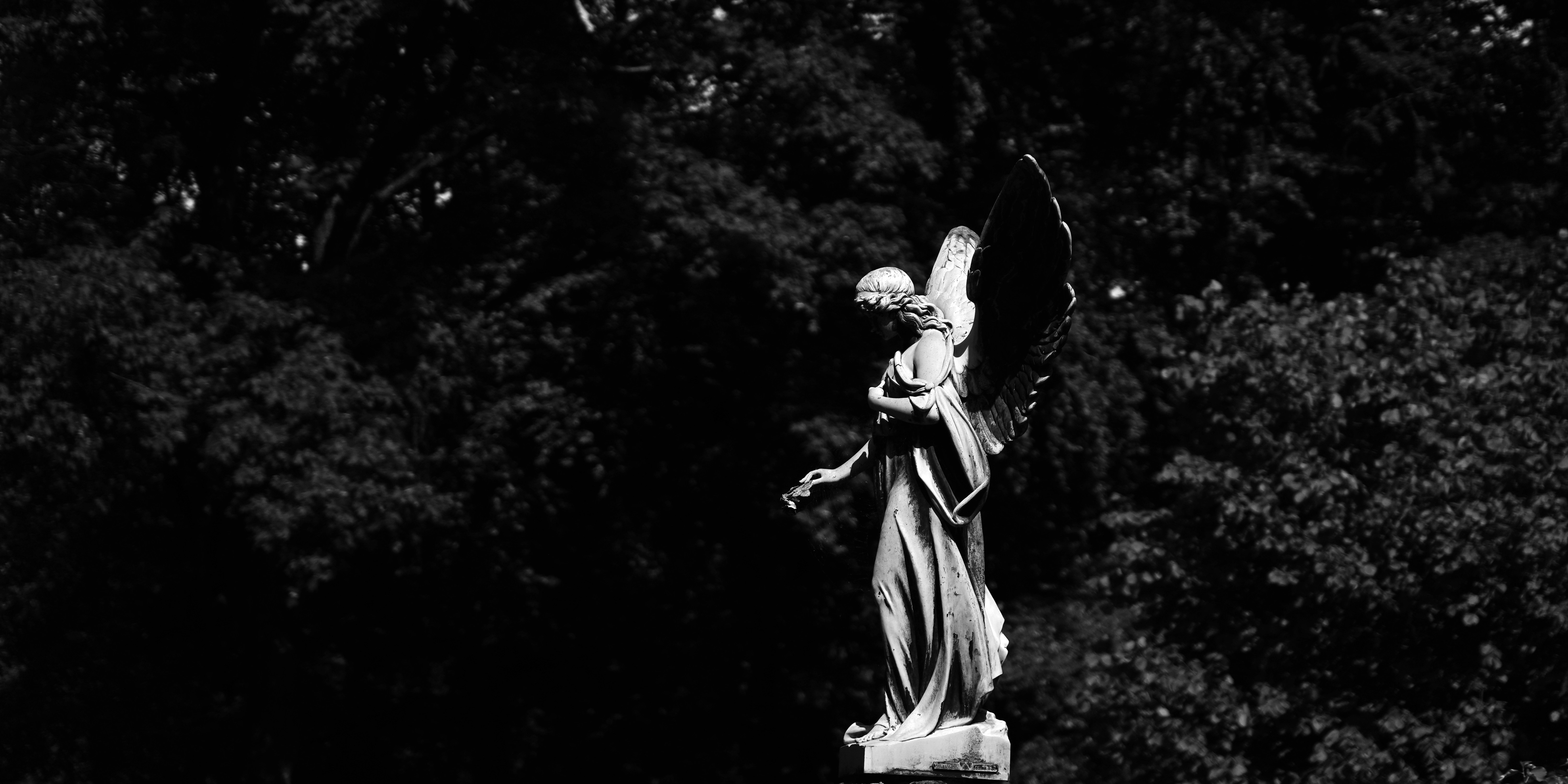 Guardian Angel in Silence: A Reverent Stone Statue Amid Shade