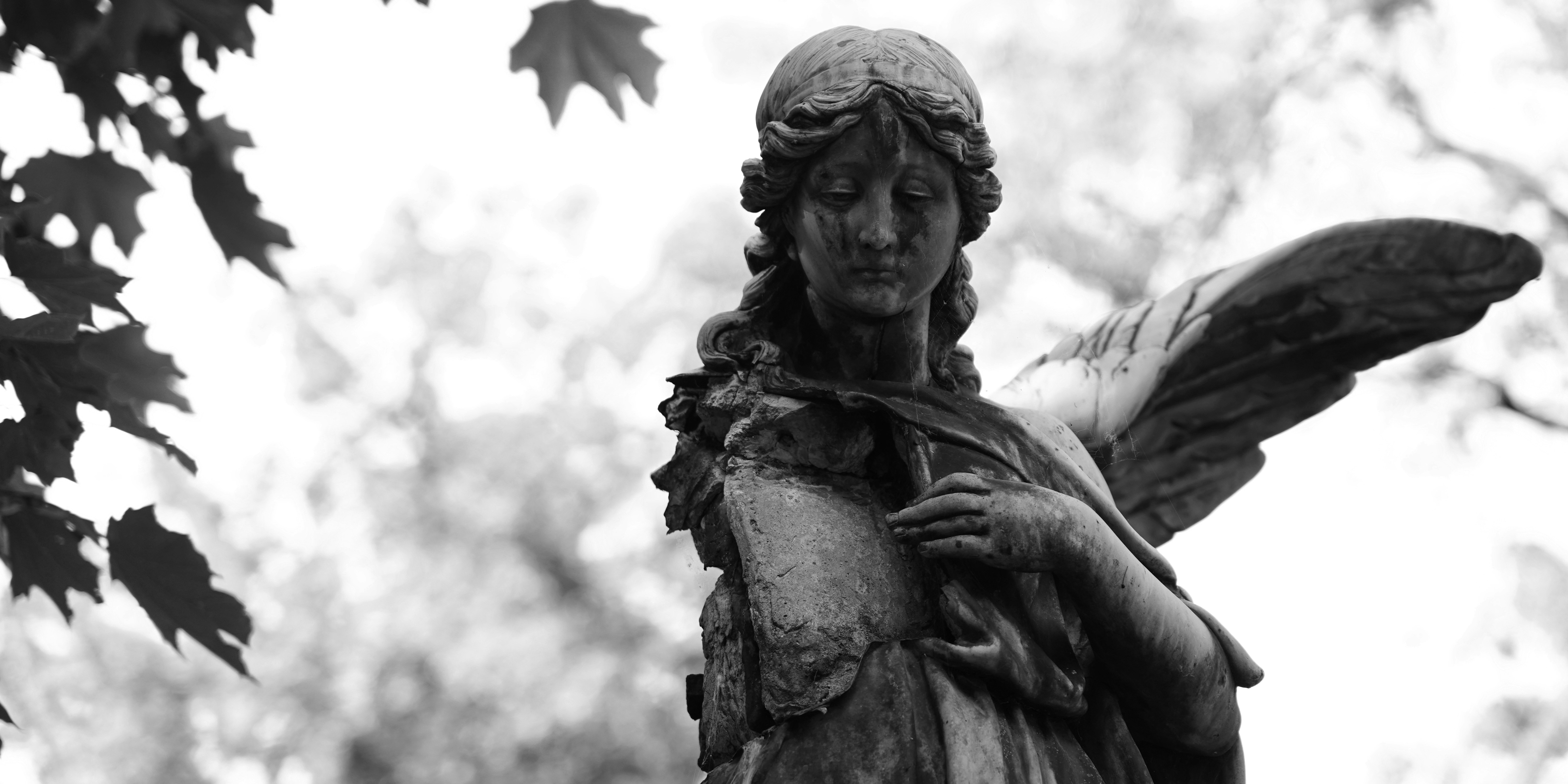 Winged Quietude: A Marble Angel in Soft Focus