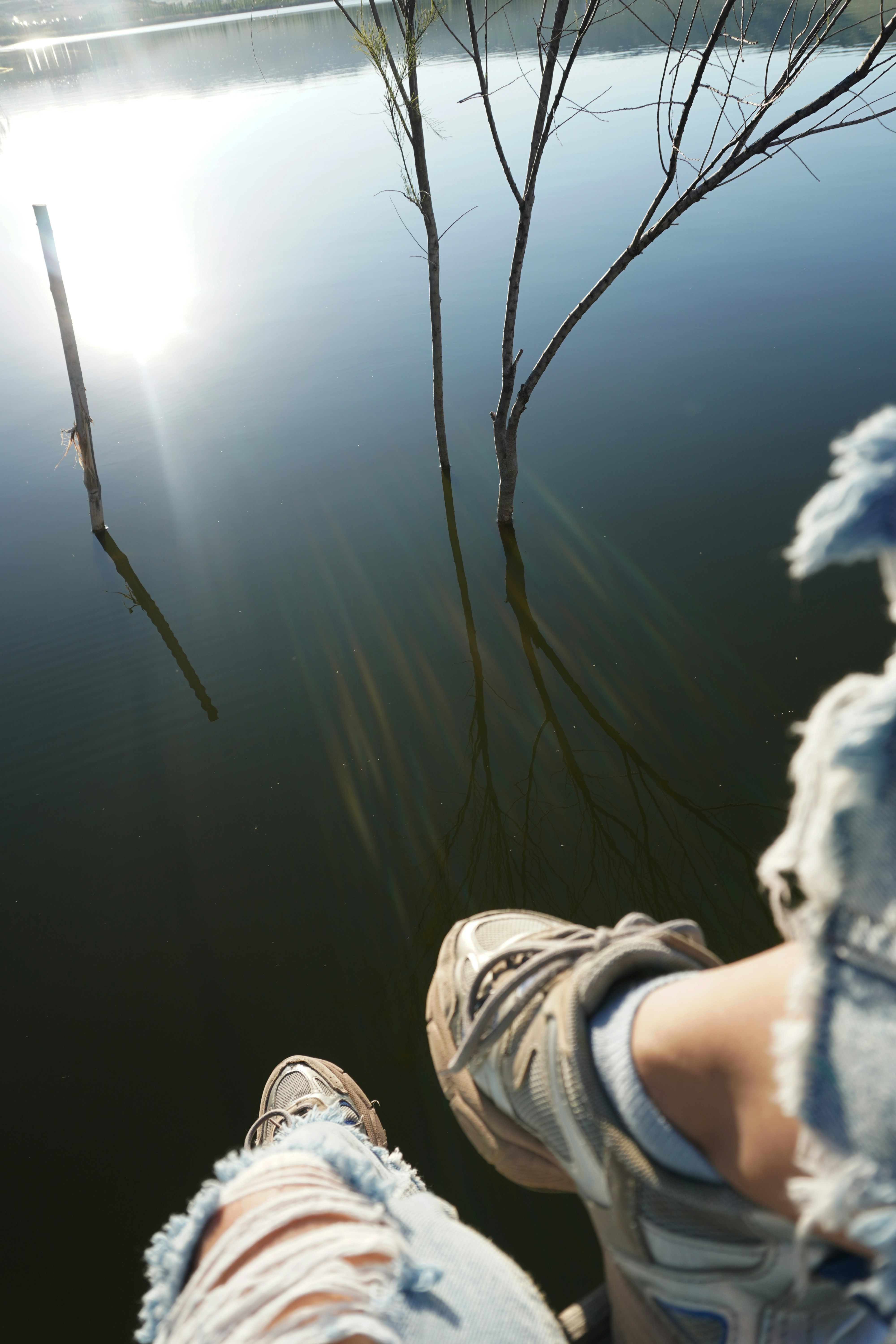 Feet over the Water: Sunlit Reflections and Bare Trees