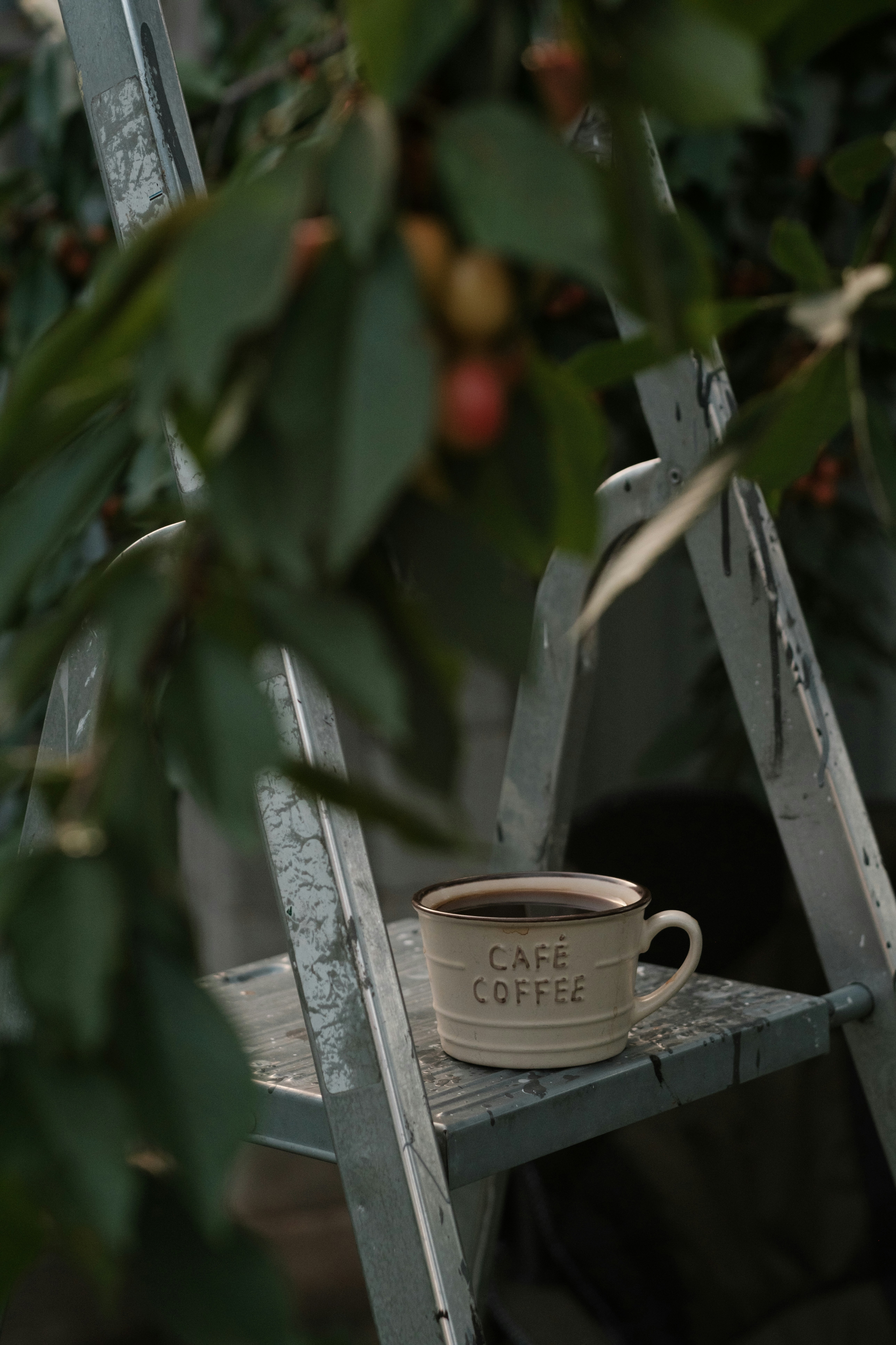 Ceramic Cup in Soft Autumn Shade on Weathered Ladder