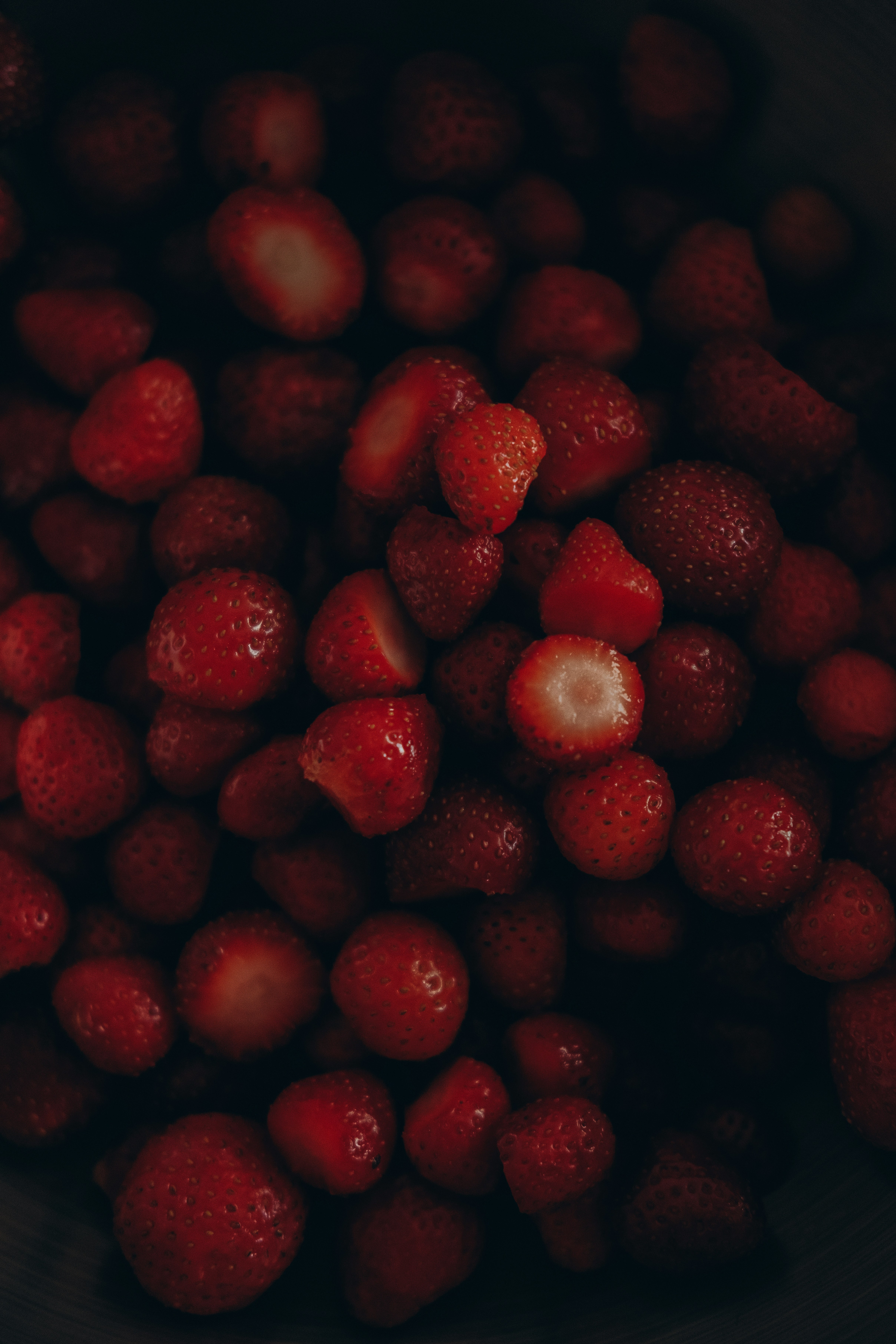 Crimson Berries in Shadowed Hue