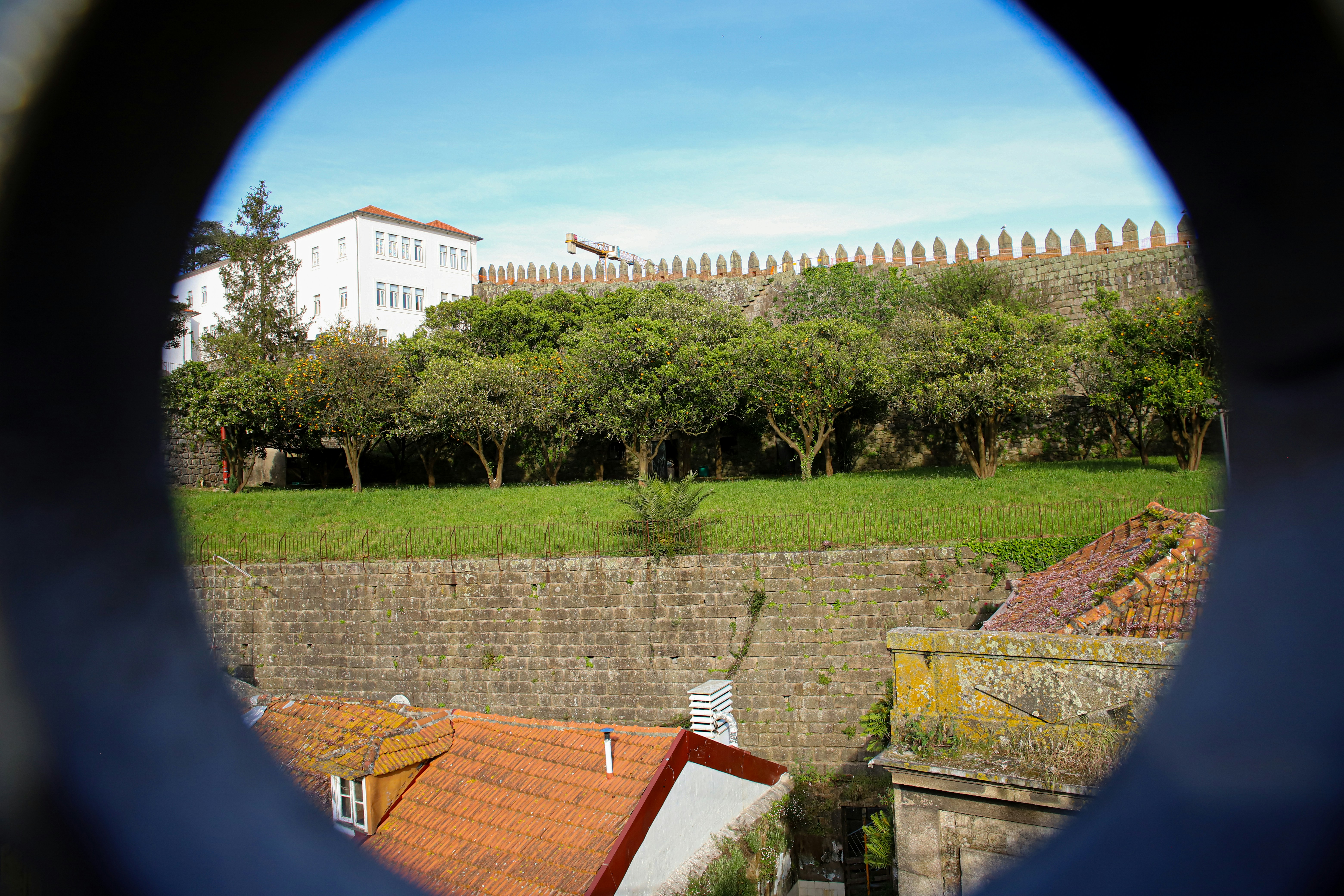 Circular Frame: A Medieval Wall Framed by a Sunny Garden