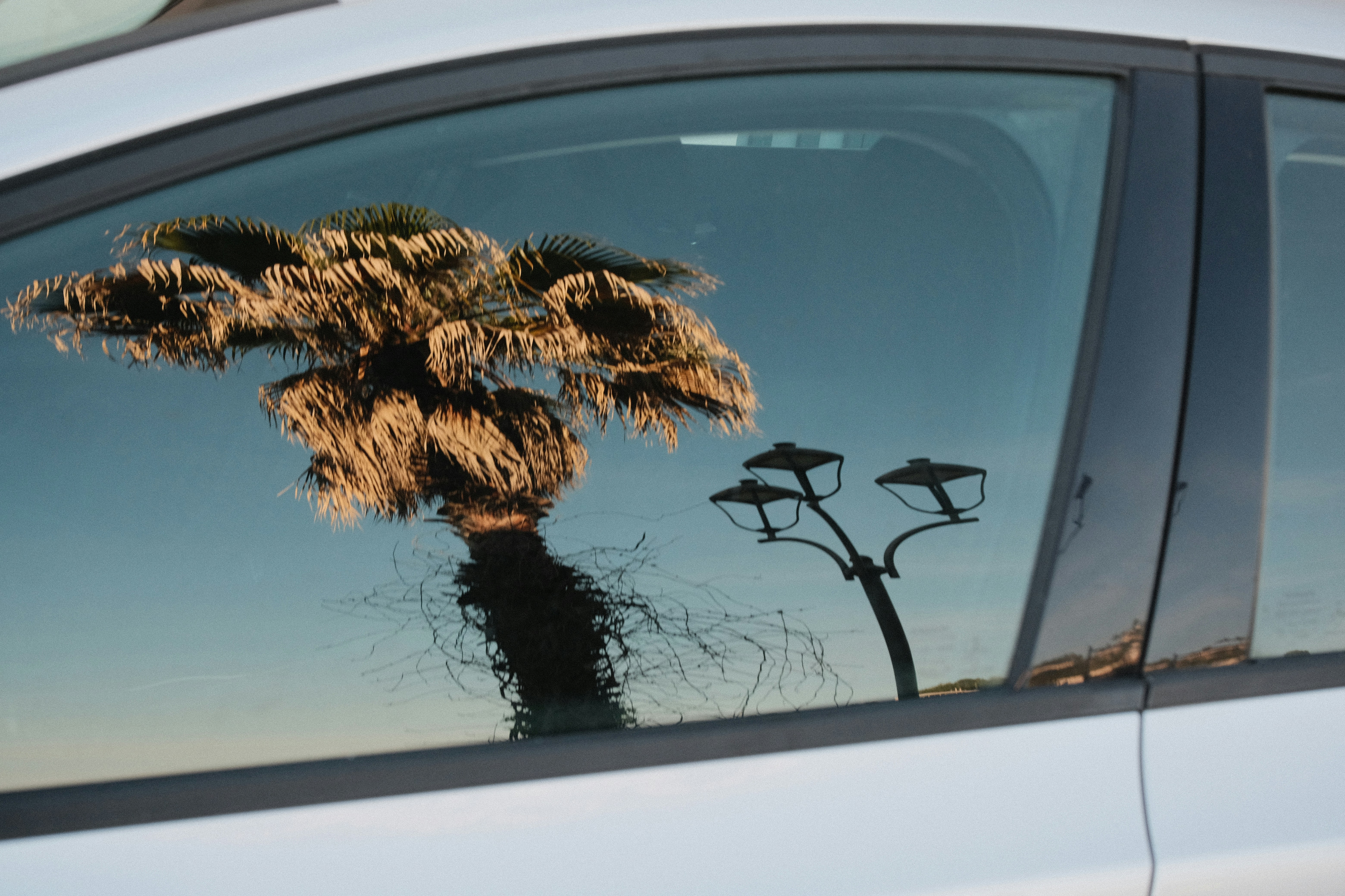 Glass Reflection: Palm and Lamp Post In a Car Window