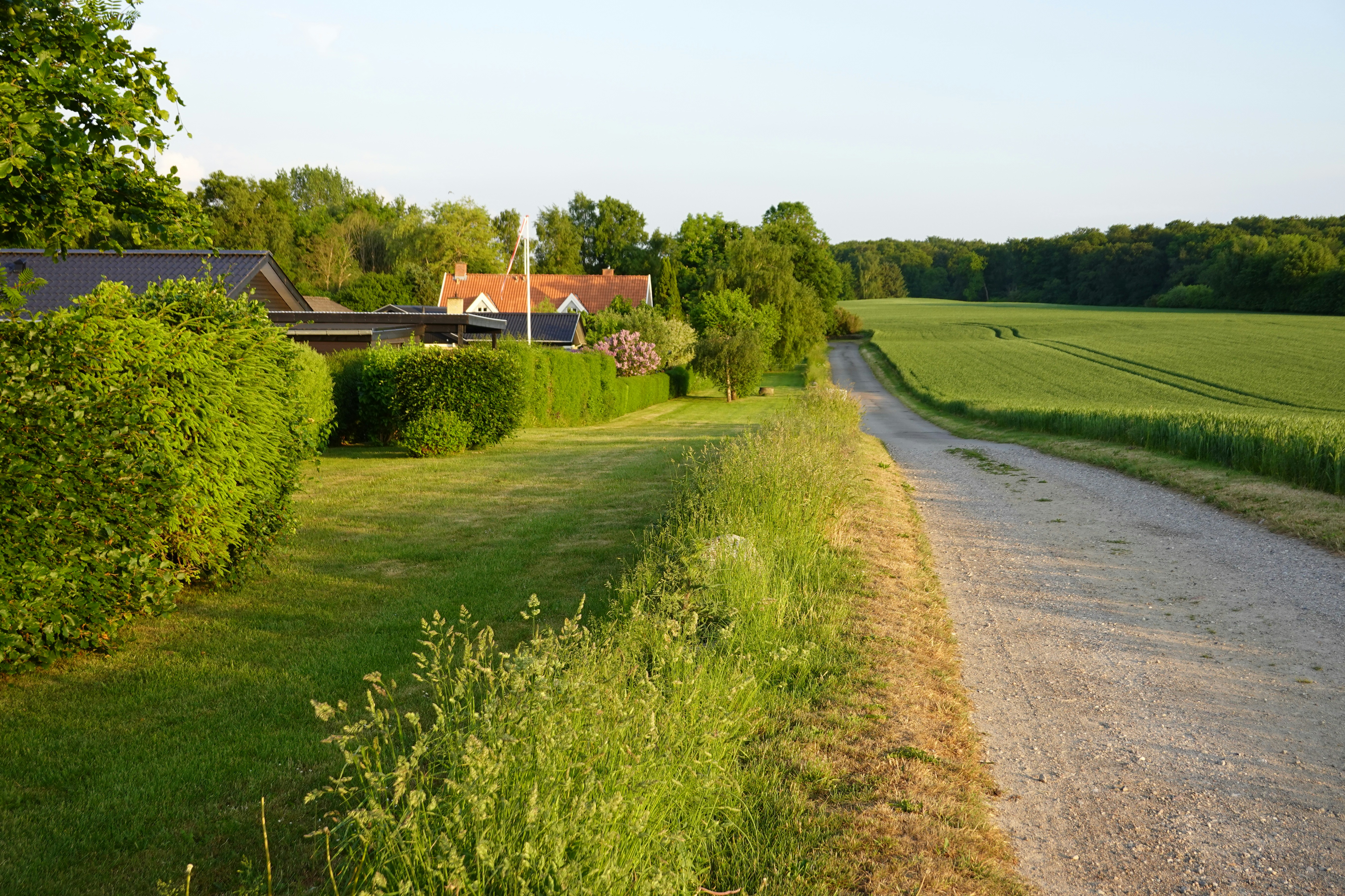 Rural road next to green fields and houses.