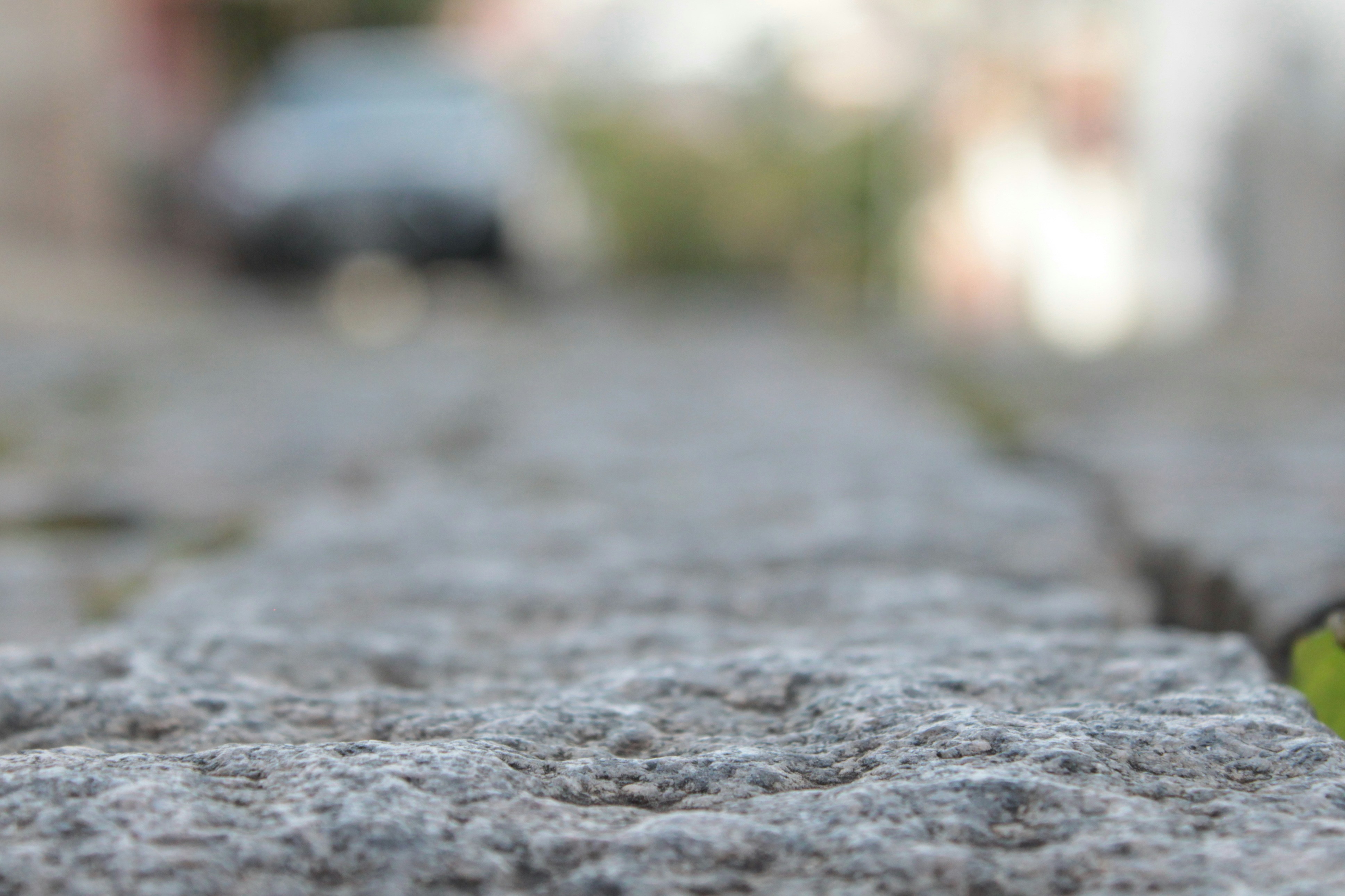 Between Stones: A Low-Angle Street Jewel in Focus