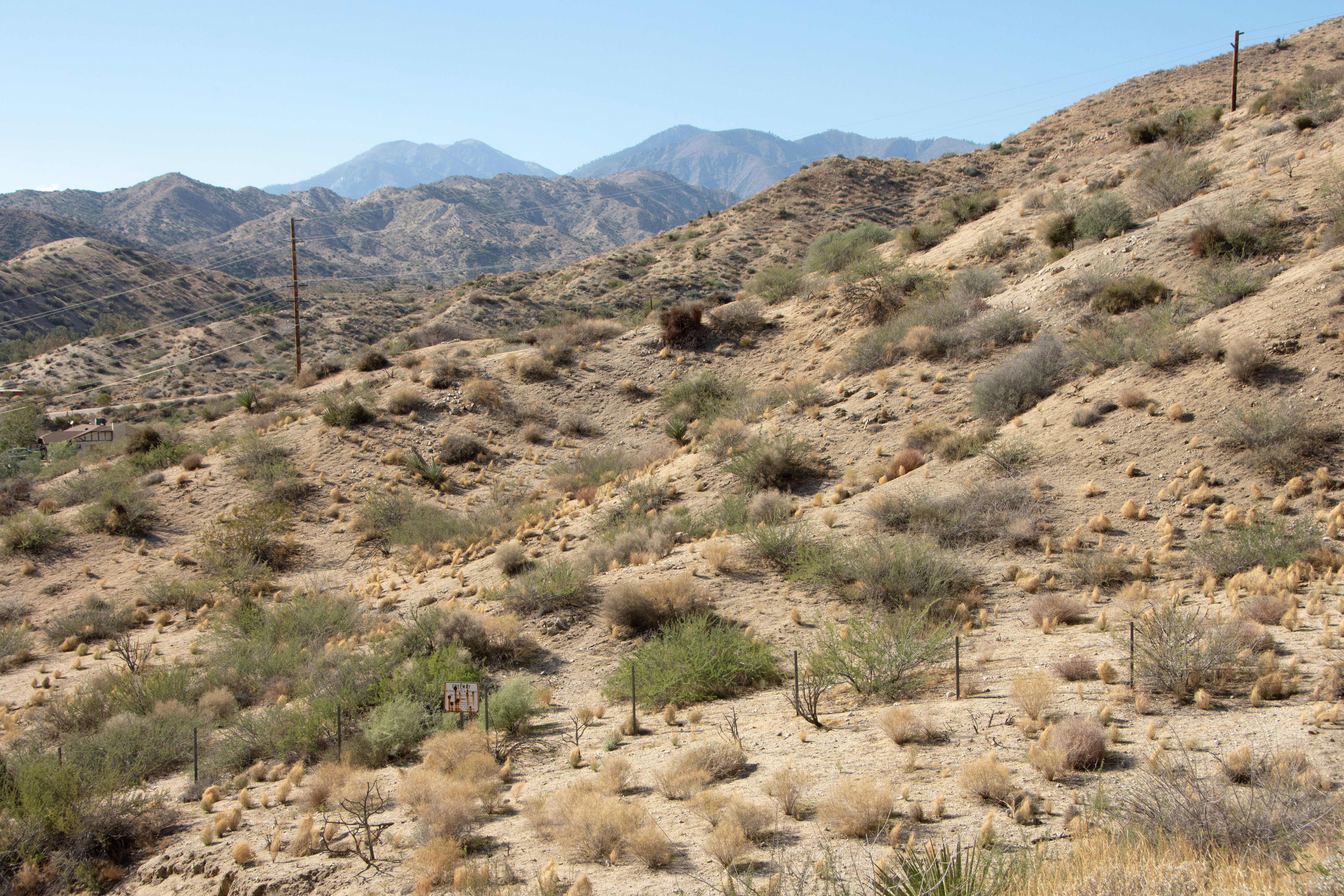 Dusty hillside utility poles marching toward distant mountains