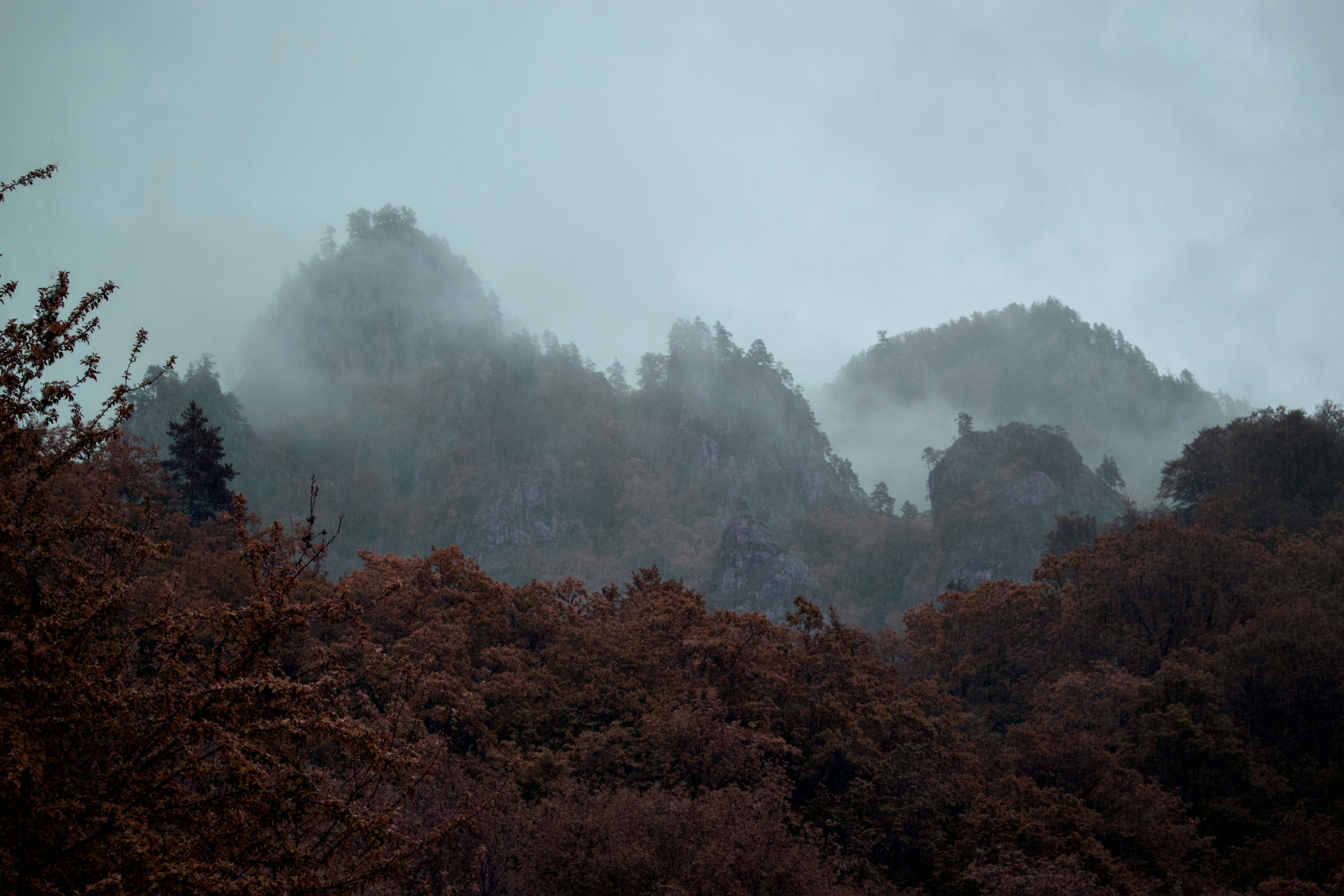 Misty Hillscape: Autumn Ridge Emerges from Morning Veil