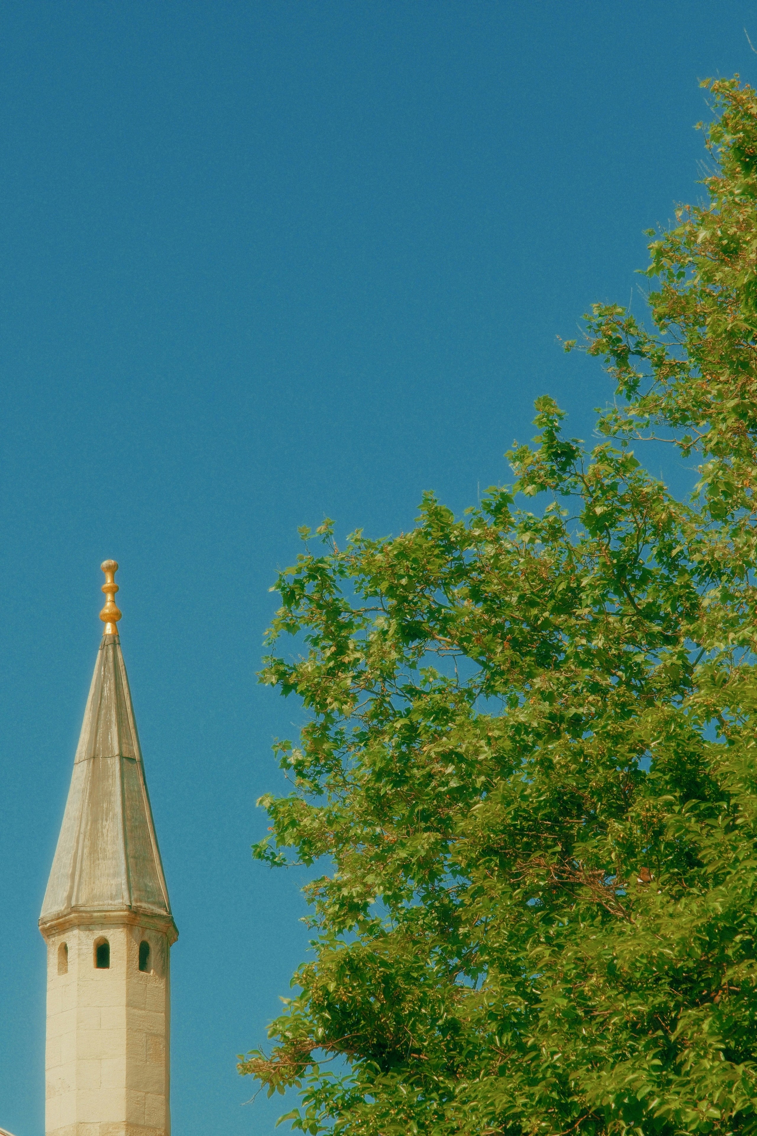 Stone minaret and green tree under a clear blue sky.