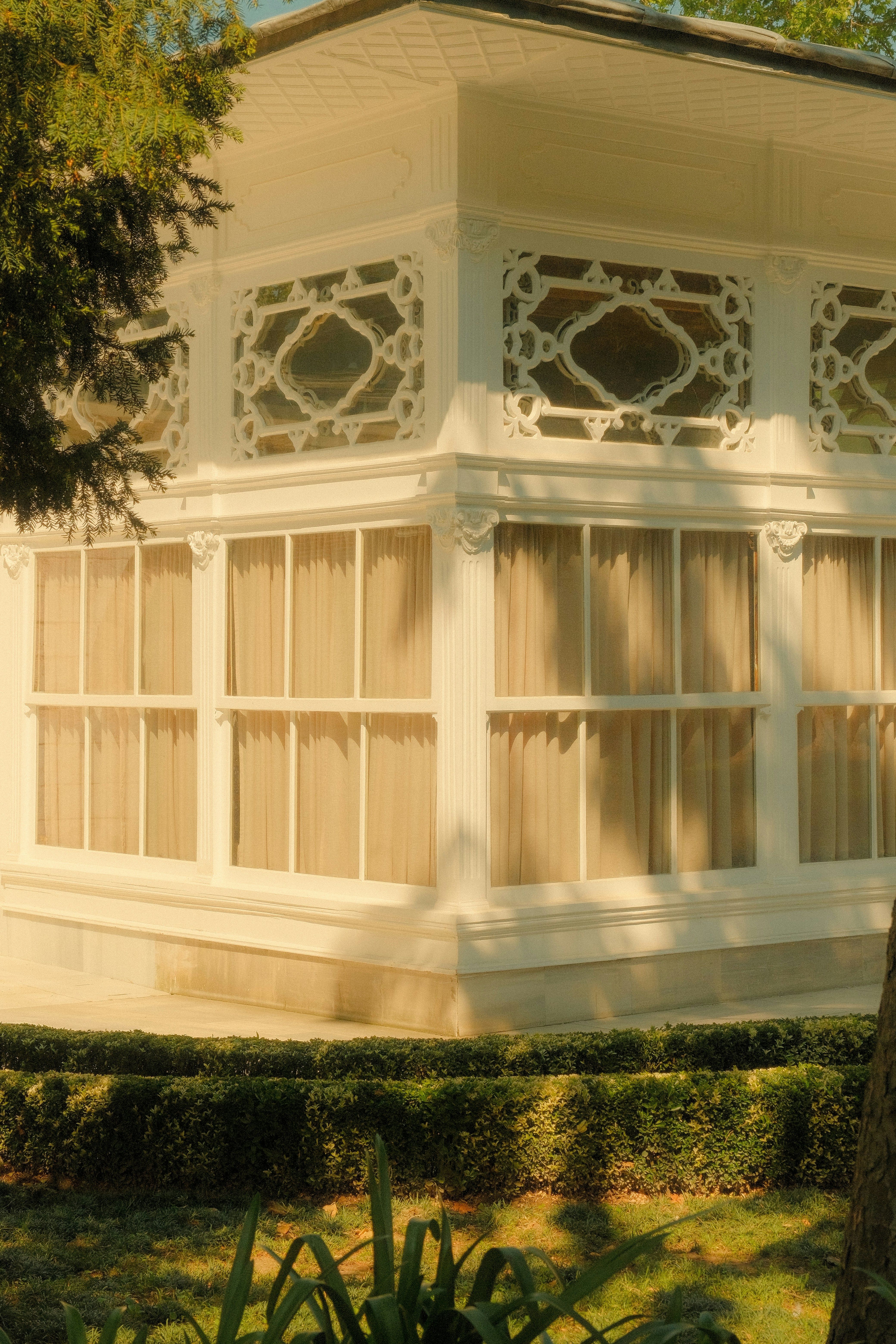 Sunlit Conservatory: Lacework and Glass in Soft Focus
