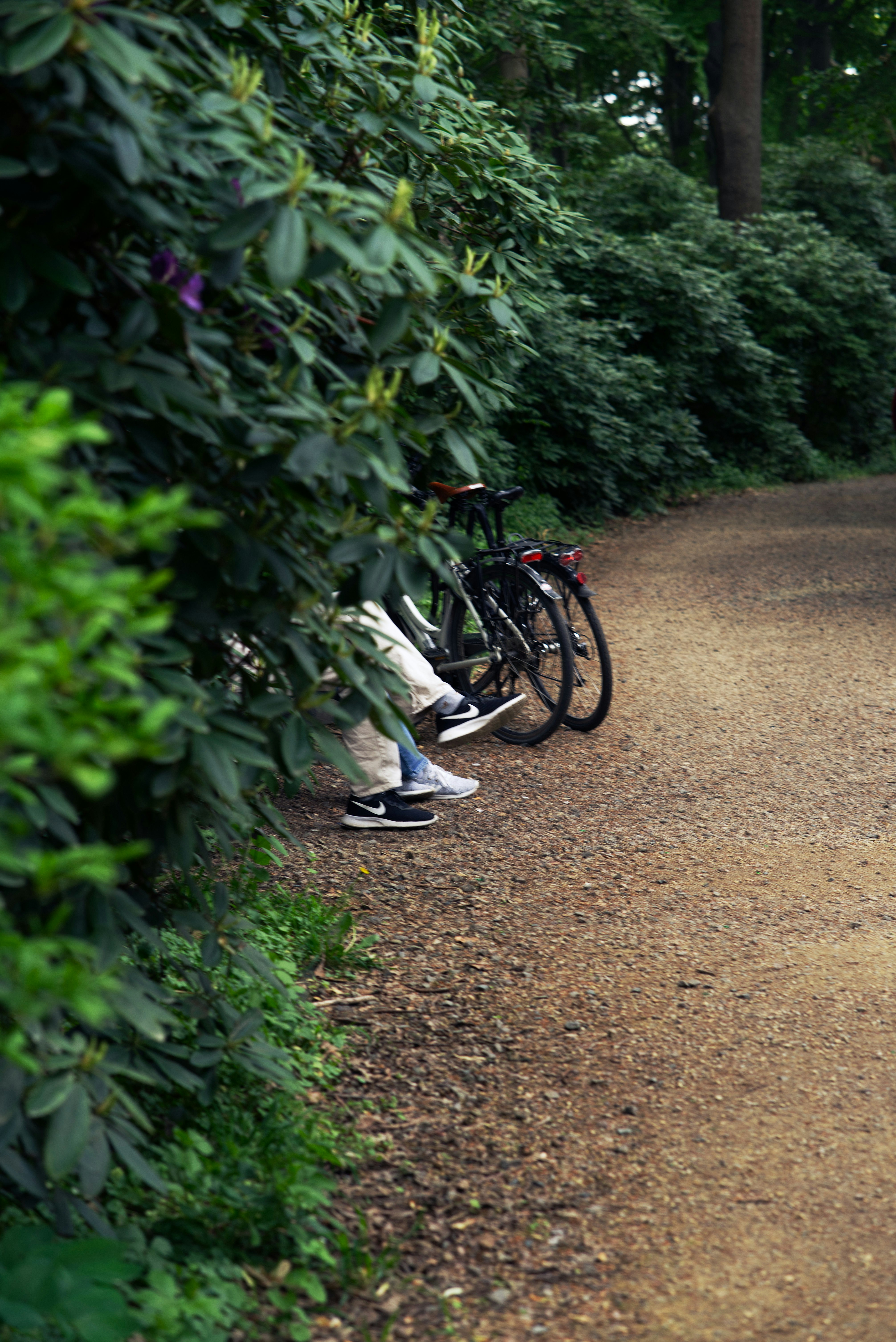 Peers’ Pause by the Path: Bicycles in the Shaded Corridor