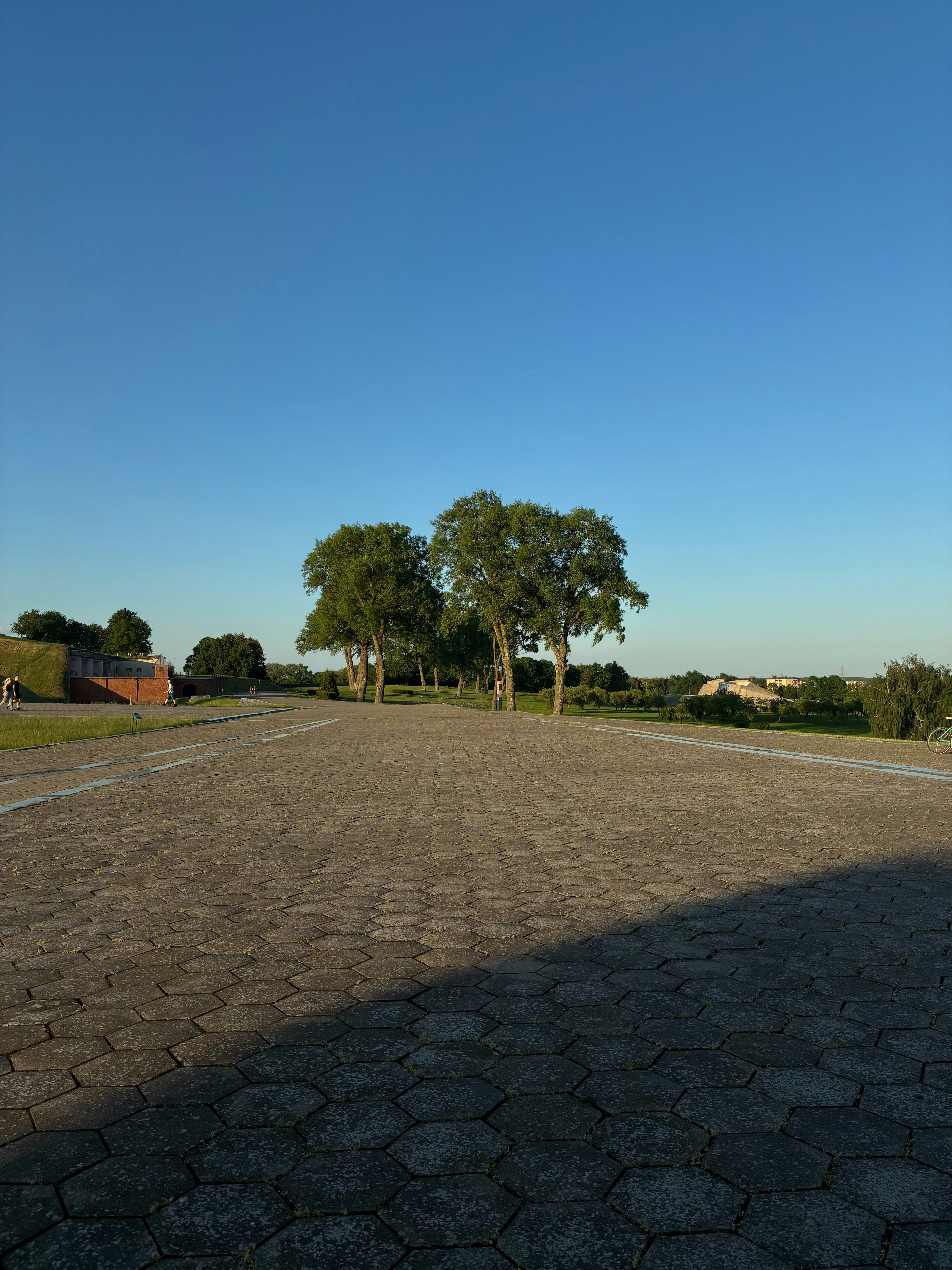 A Quiet Park Path Reaching Toward a Cluster of Trees