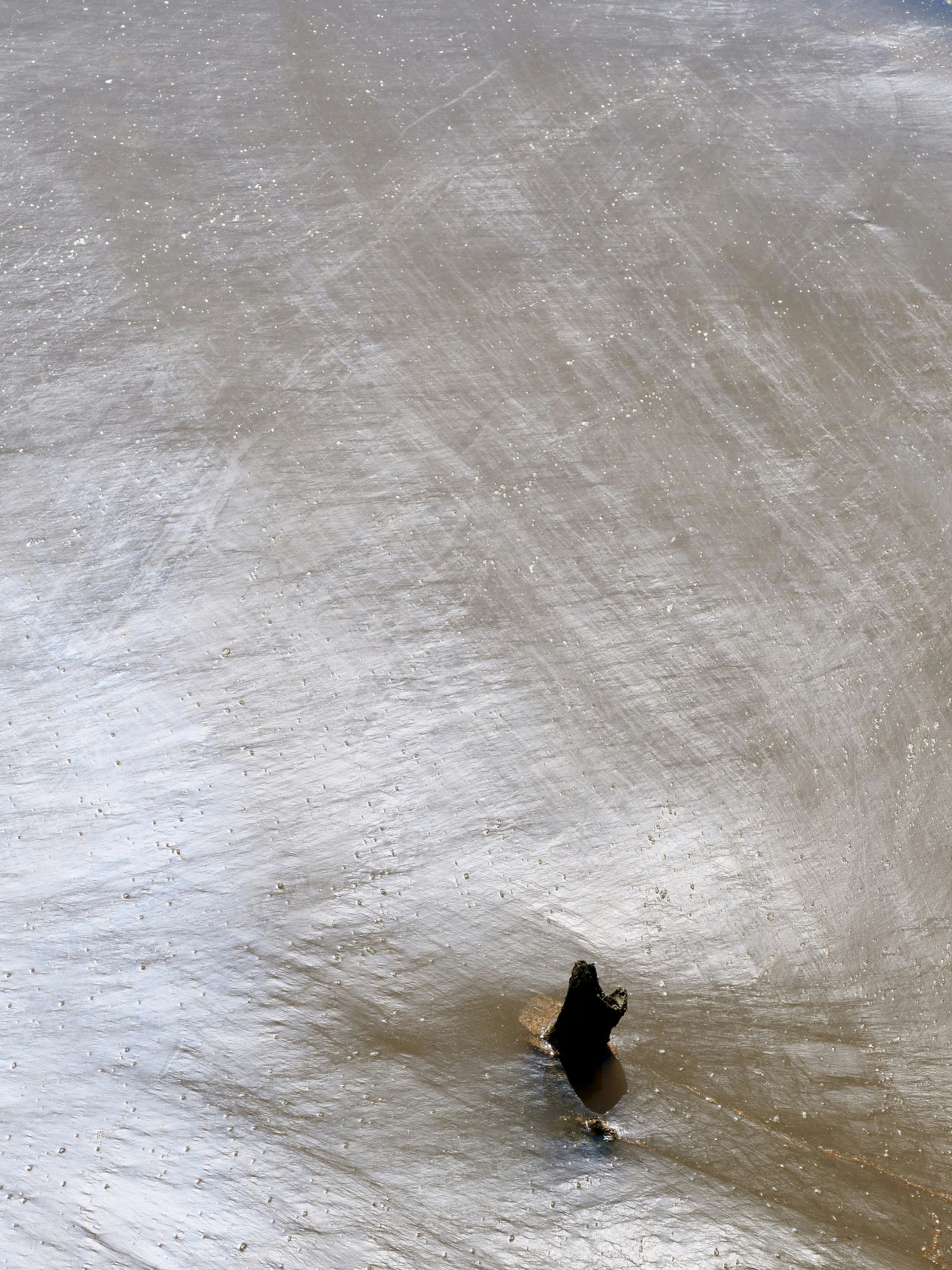 Ice Needle Break: A Lone Stick Pierces Frozen Surface