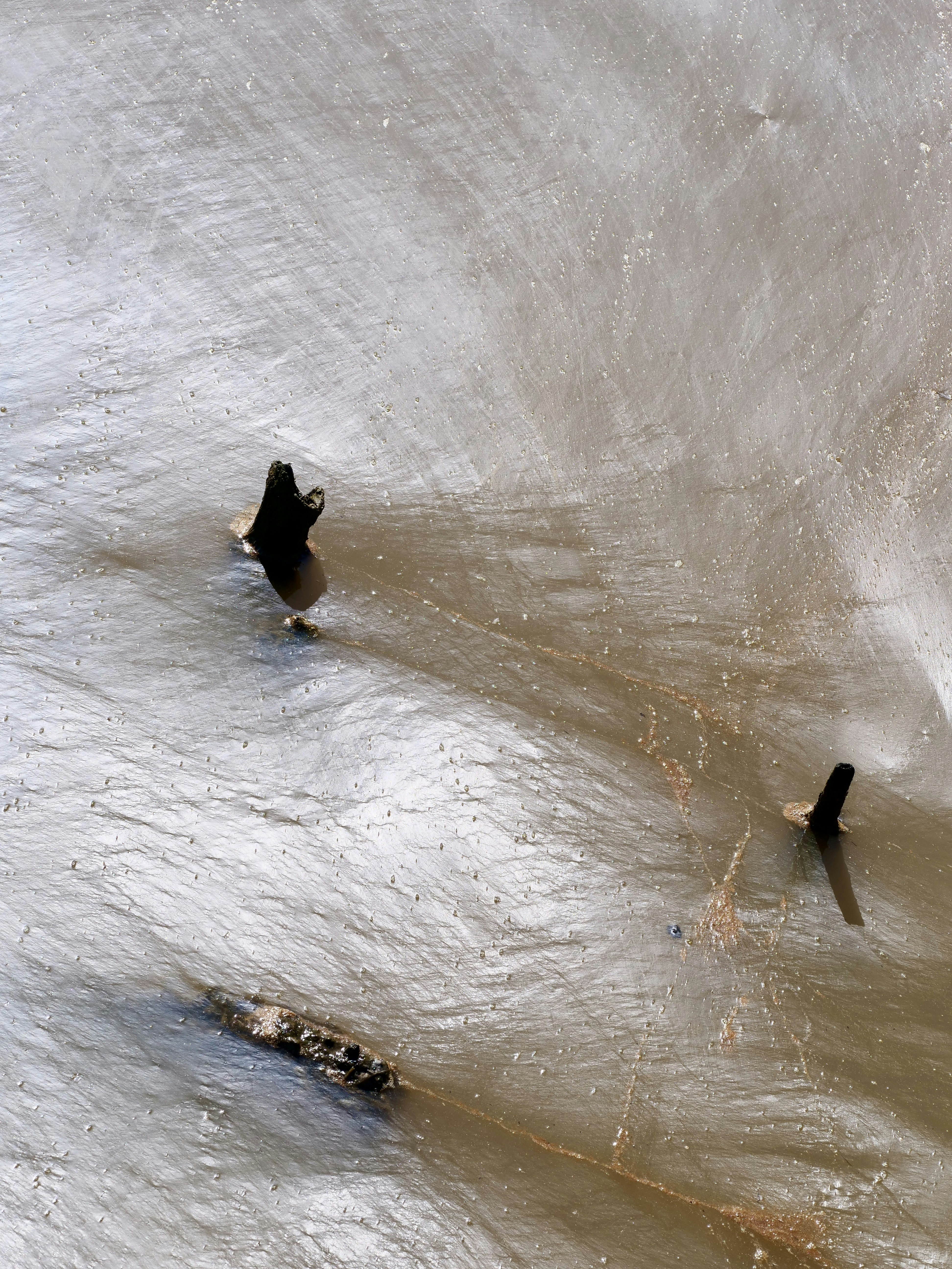 Winter’s Ice Thread: Stubs and Veins in Frozen Surface