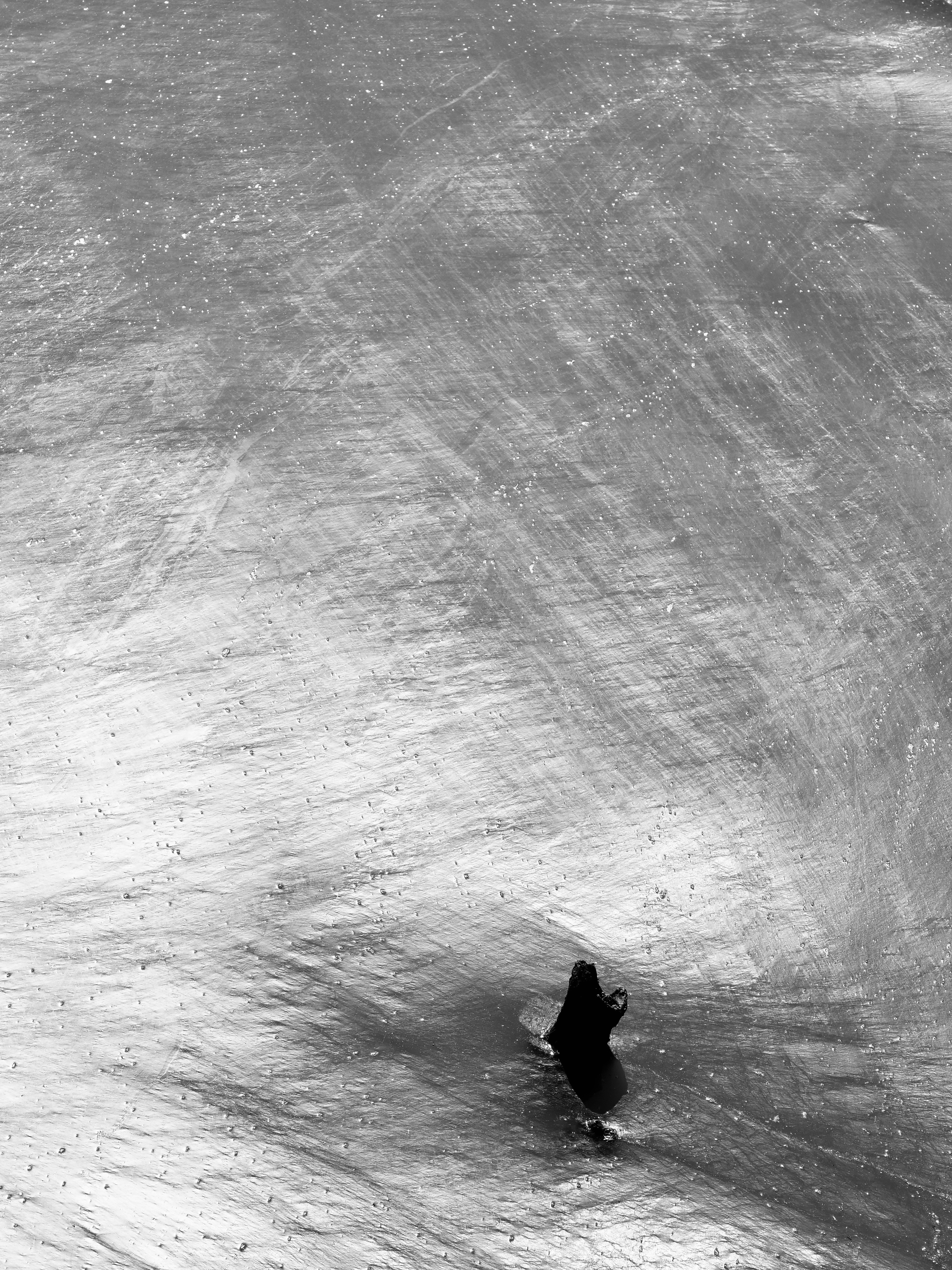 Snowbound Stub: A lone wooden stub carved in wind-swept ice