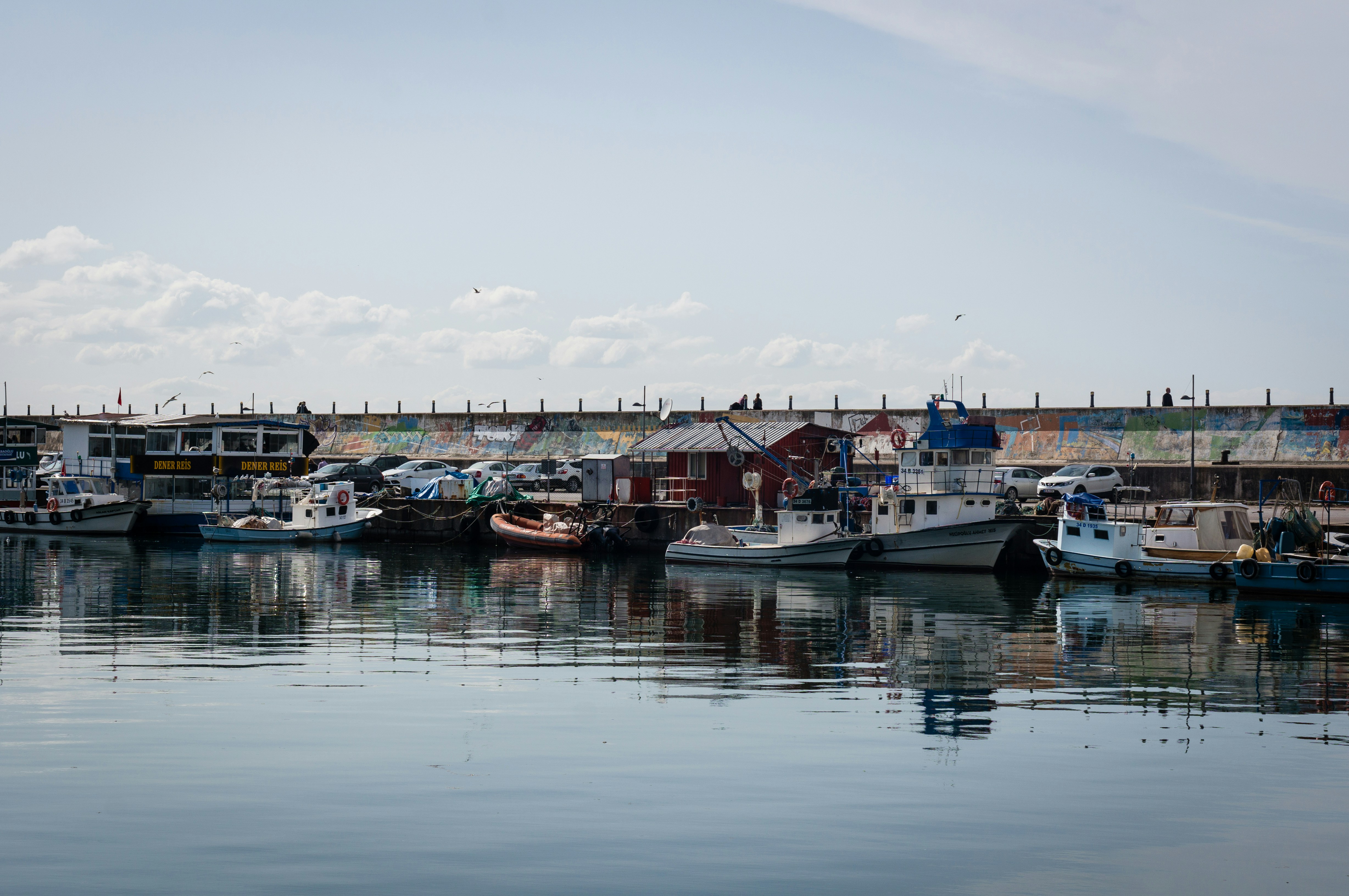 Harbor of Quiet Reflections