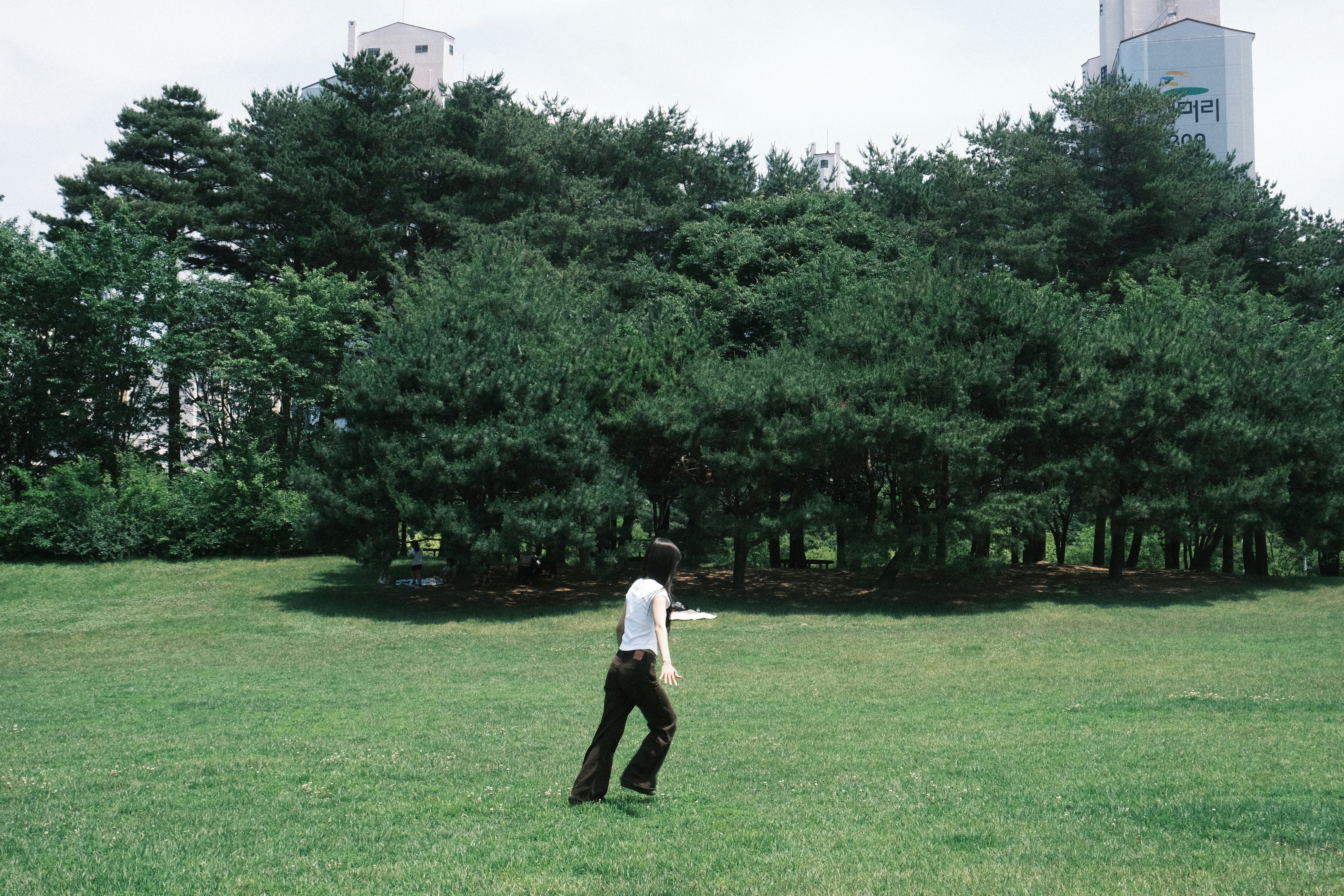 Person throwing a frisbee in a green field near trees.