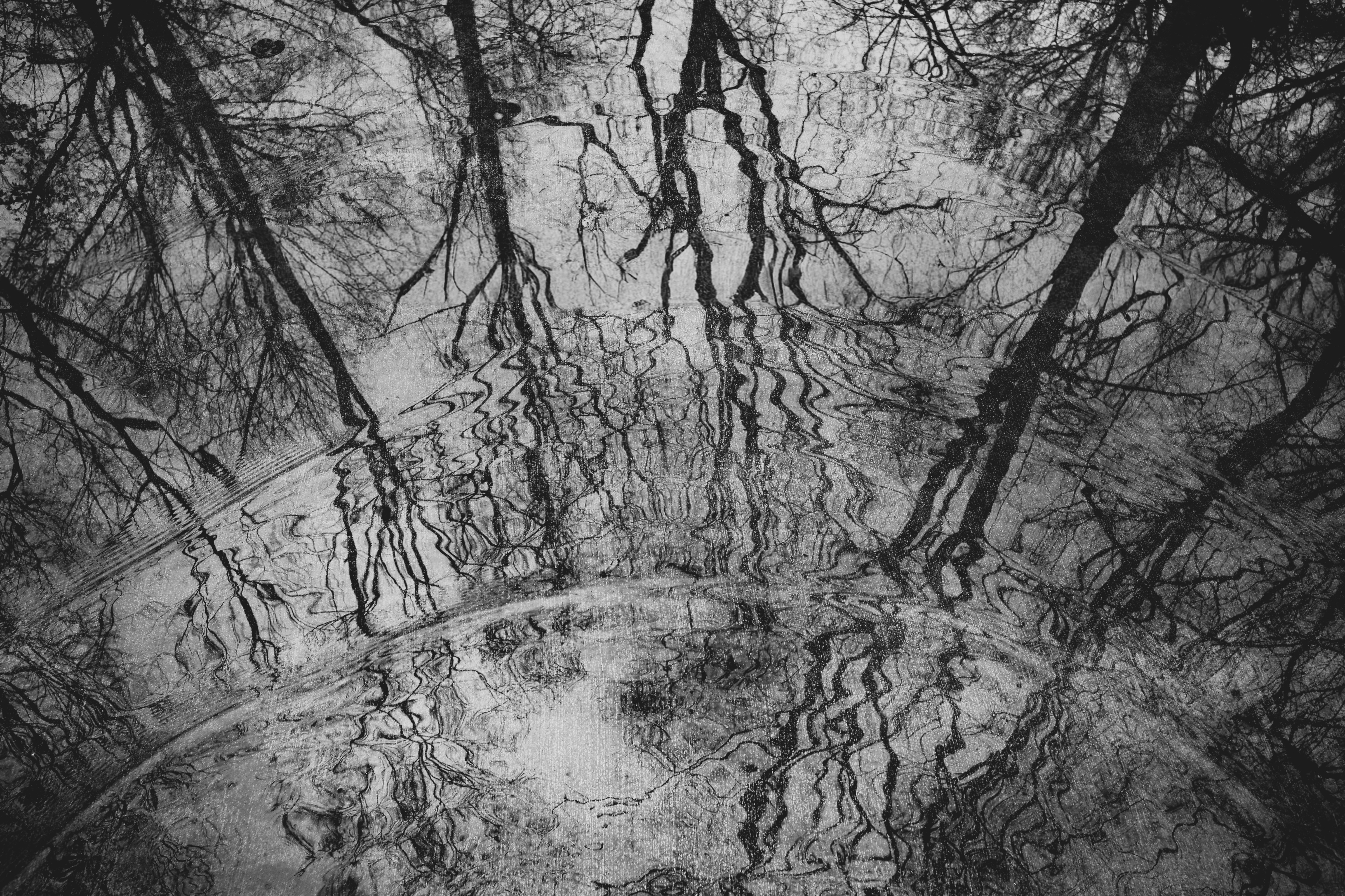 Reflections in a Wet Static: Echoes of a Circular Shore