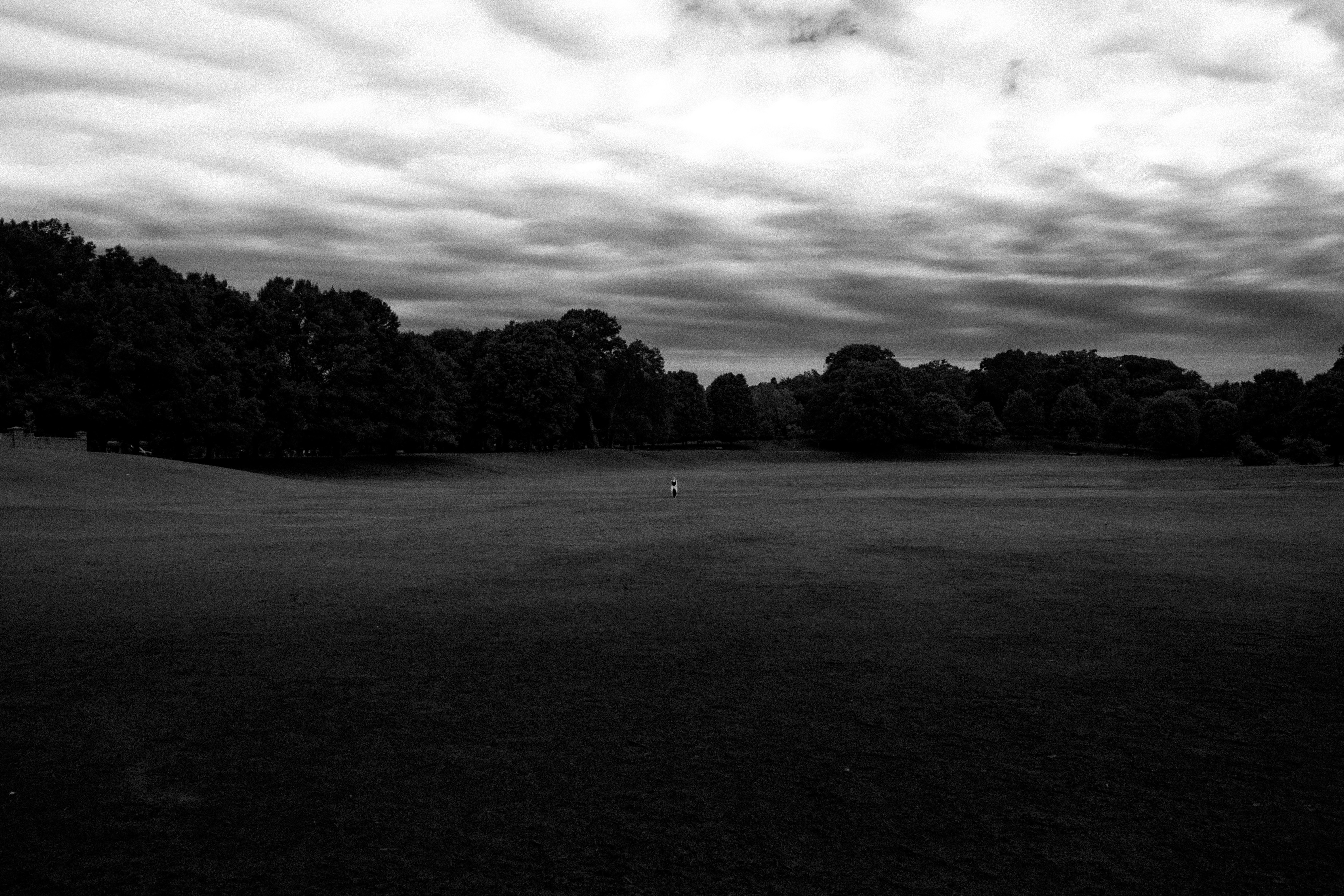 Midfield Silence: A Celestial Sky over a Quiet Park