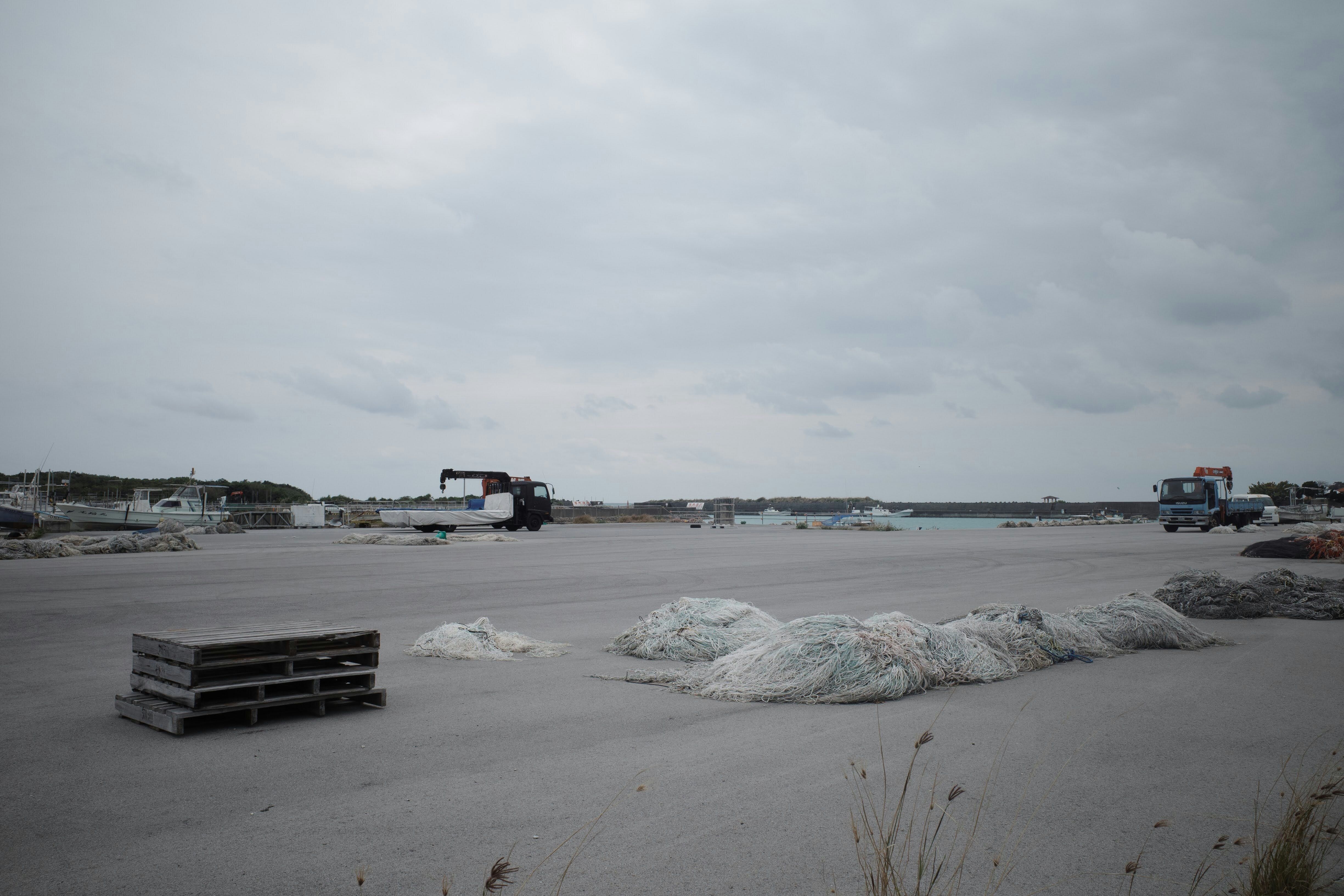 Industrial Shoreline under a Leaden Sky