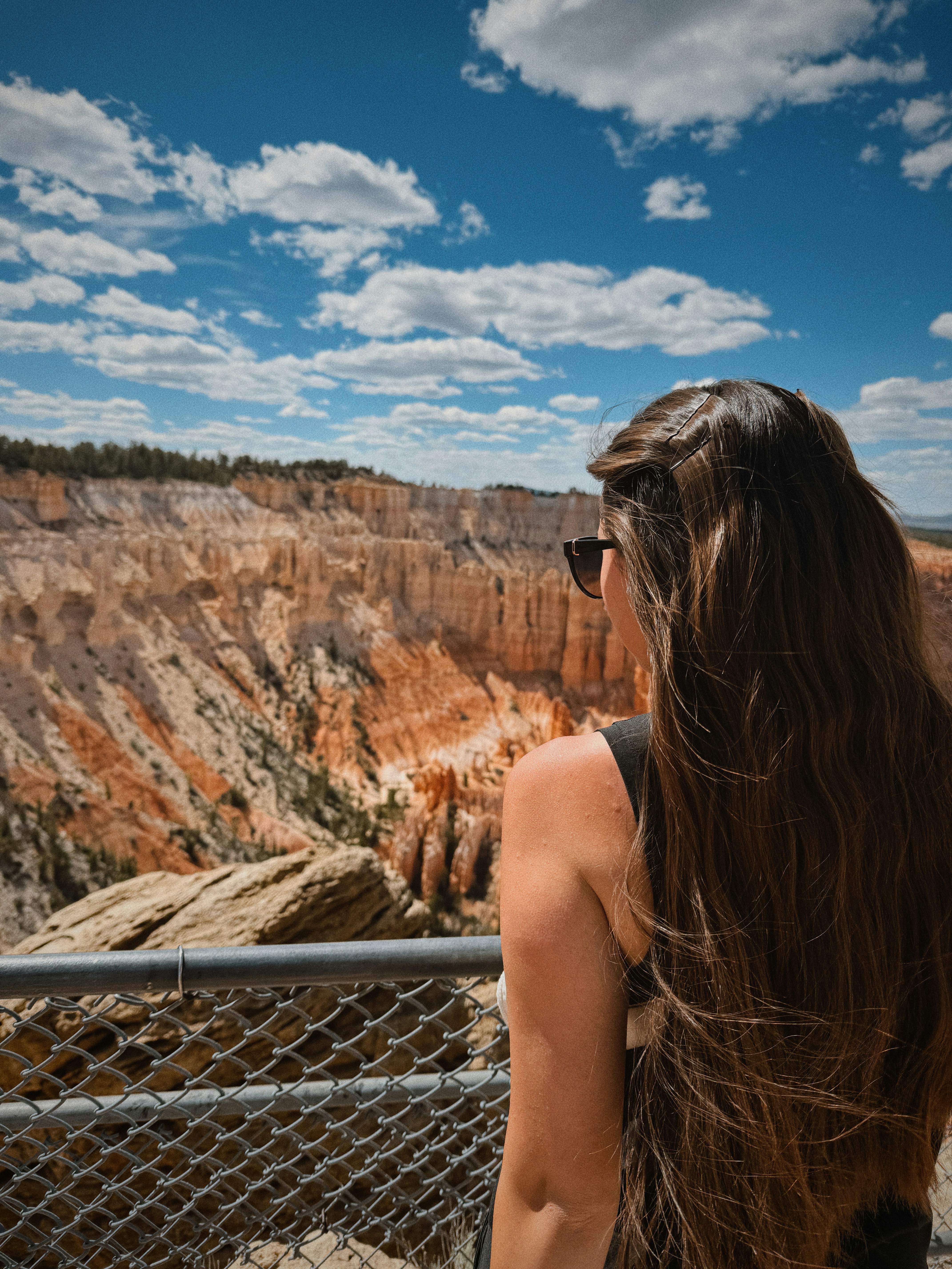 Rimside Reverie: A Wanderer at the Canyon Edge