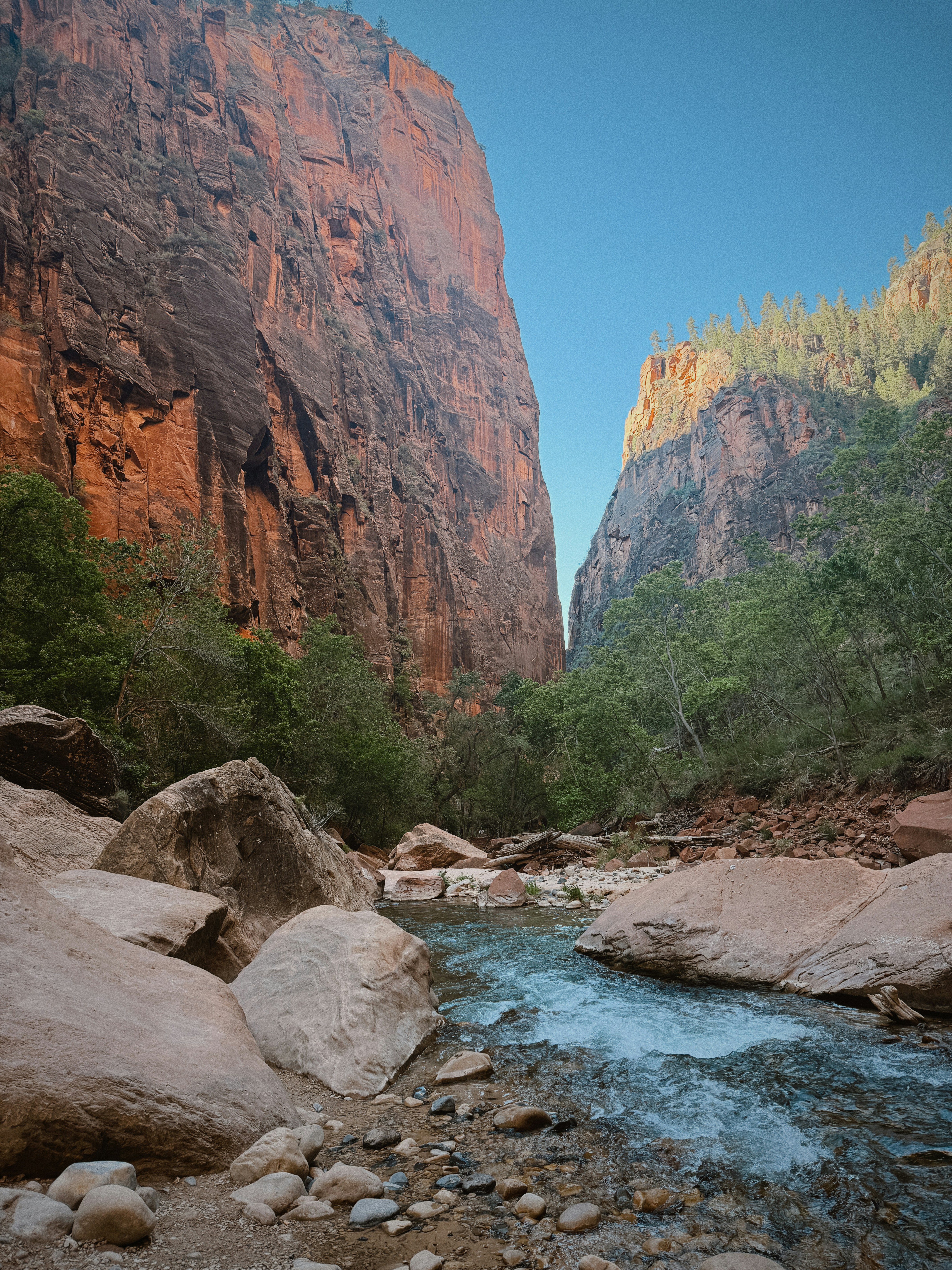 Gorge Channel: A Sunlit Rift Between Ridge and River