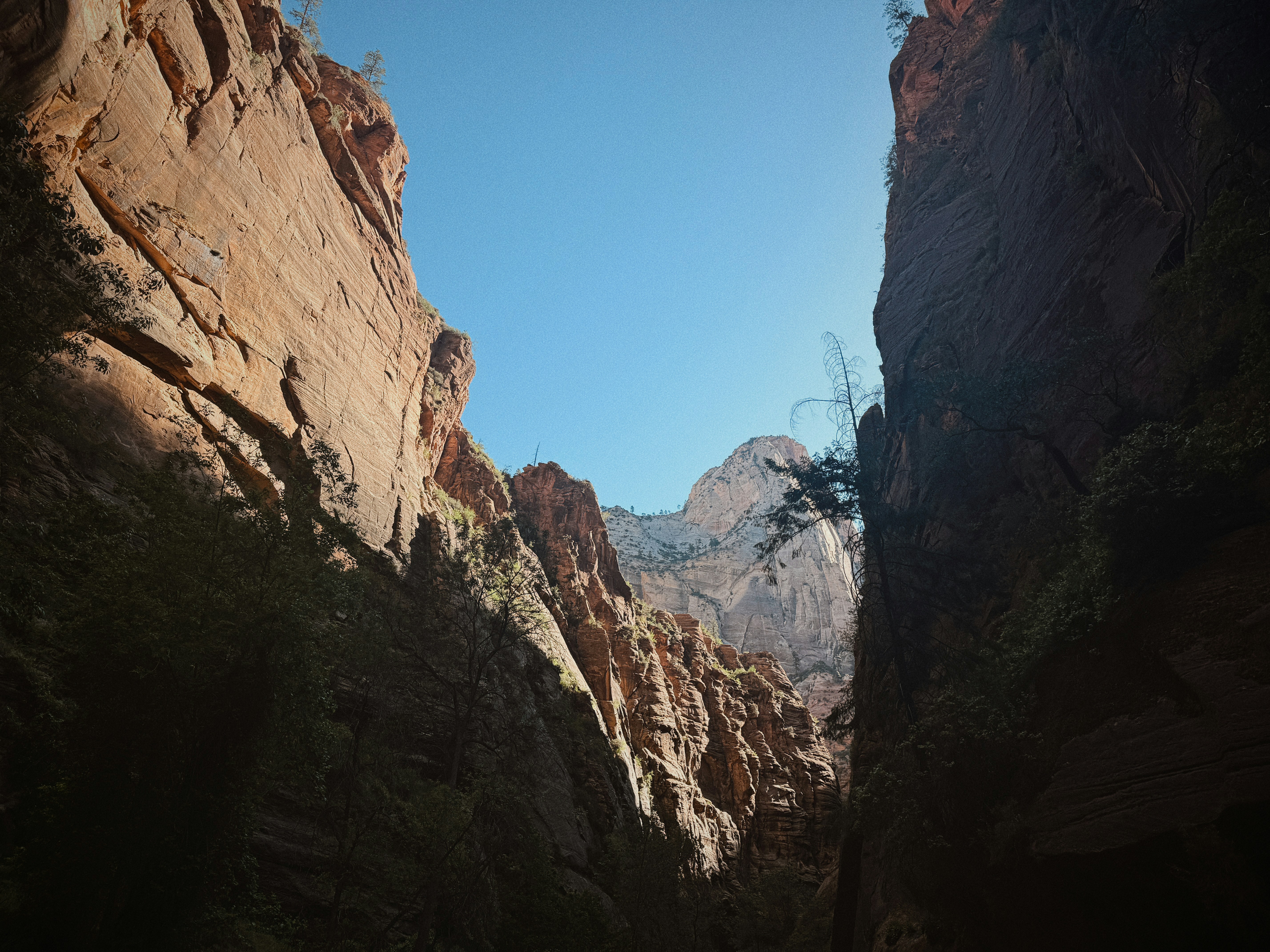 Sunlit Canyon Ascent Between Crimson Walls
