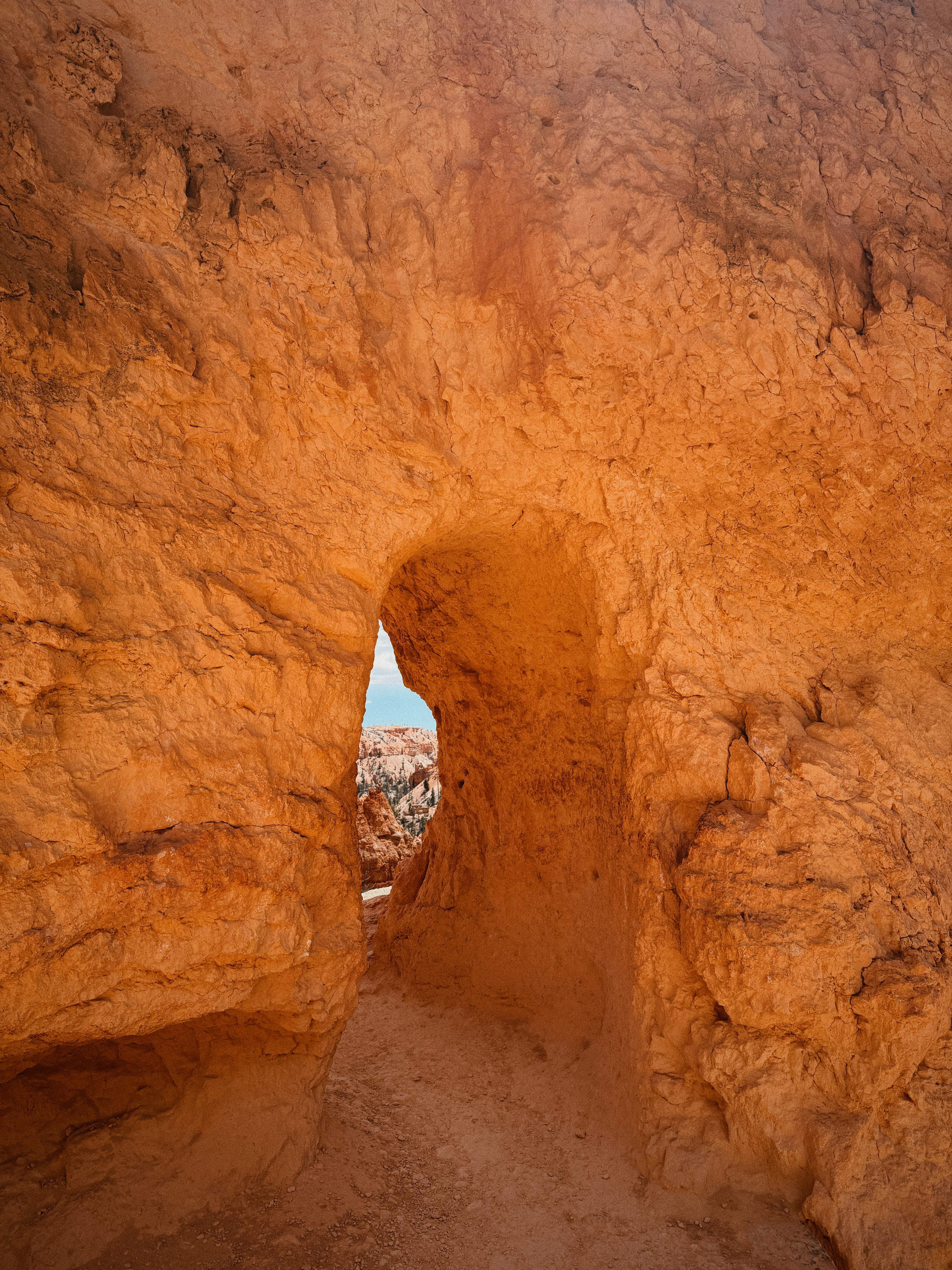 Sunlit Archway Carved in Rust-Hued Cliff