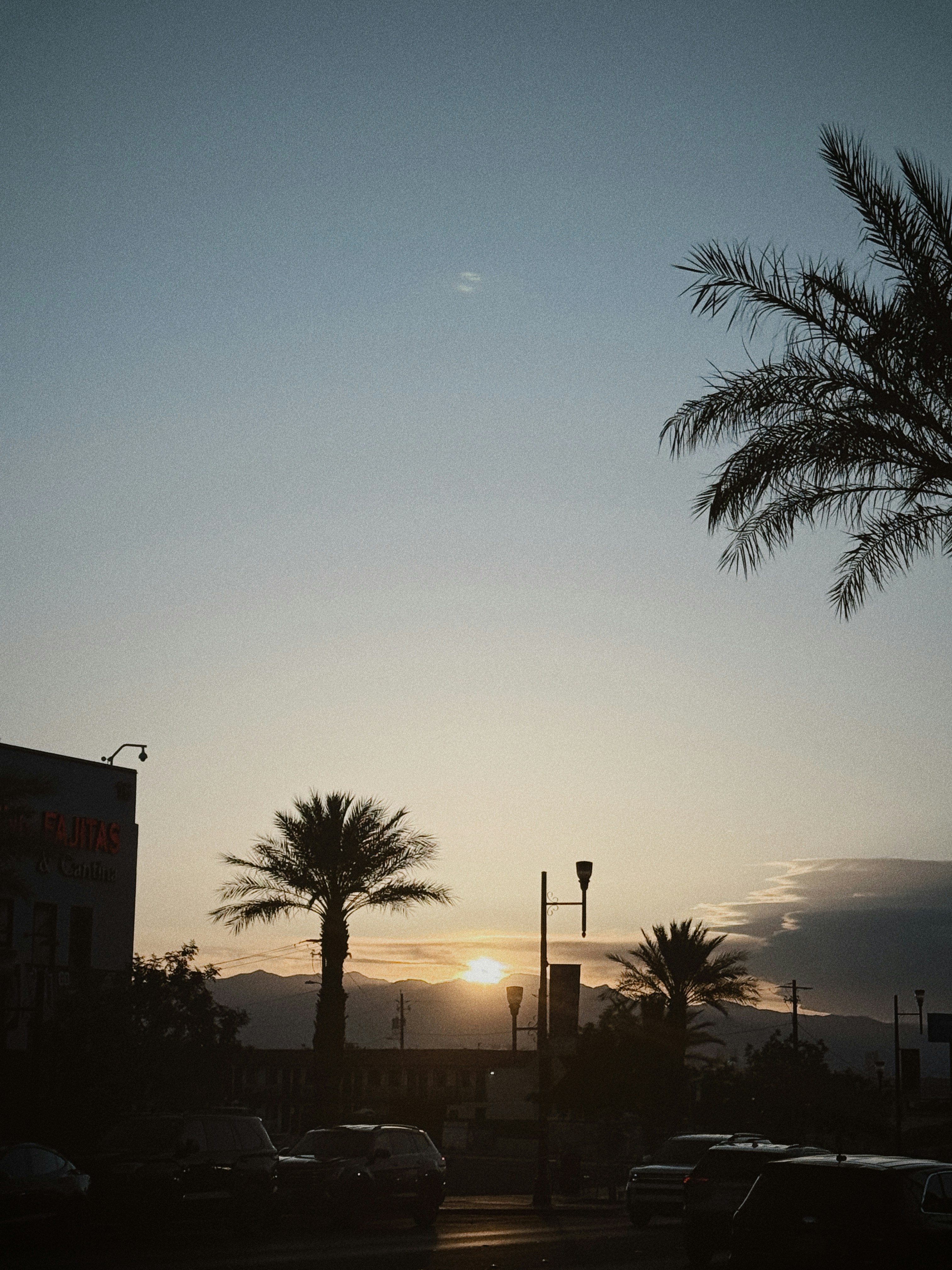 Sunlit boulevard under a fading twilight with palm silhouettes