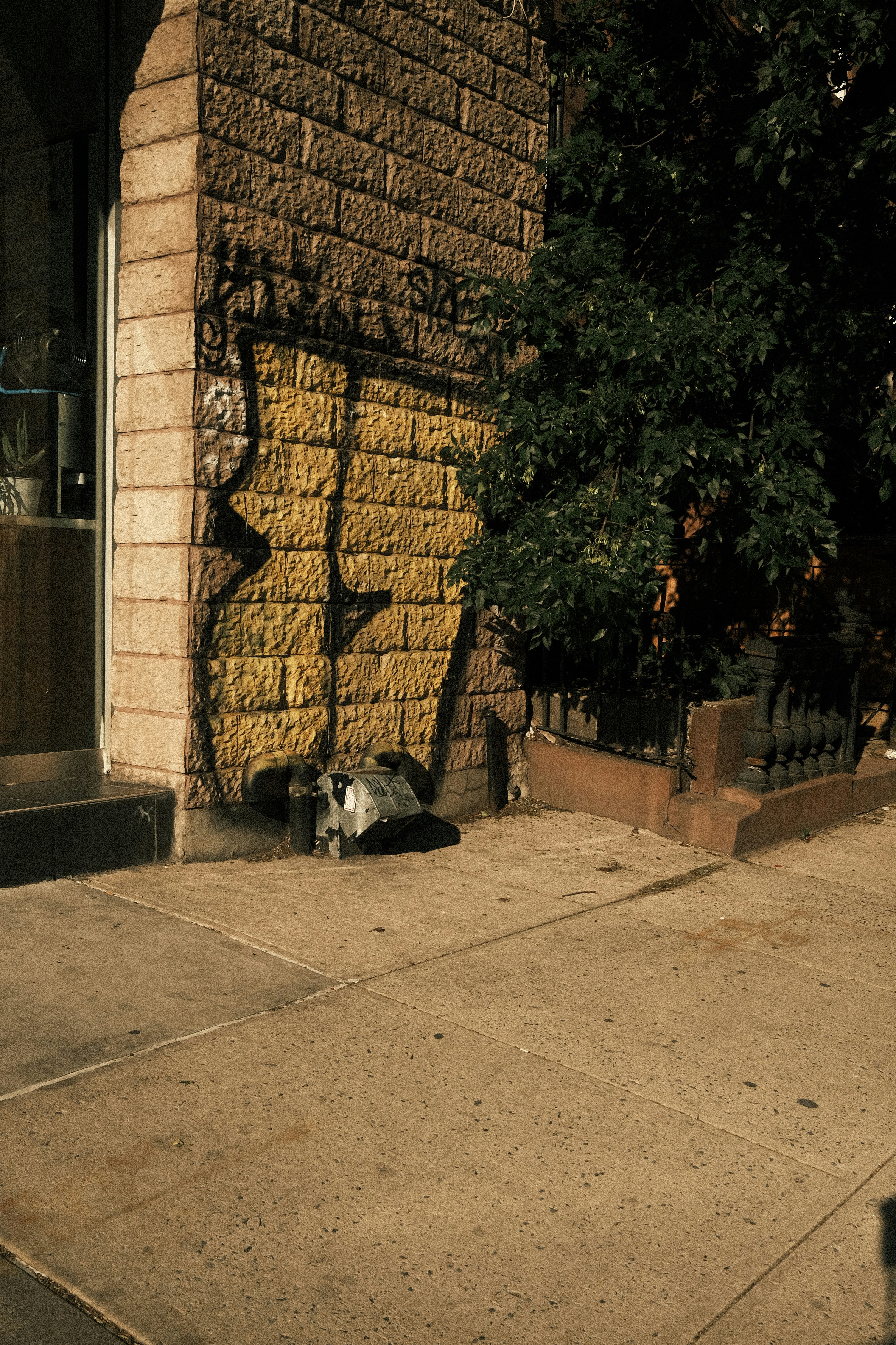 Sunlit Corner: Graffiti, Plant Shadow, and City Brick