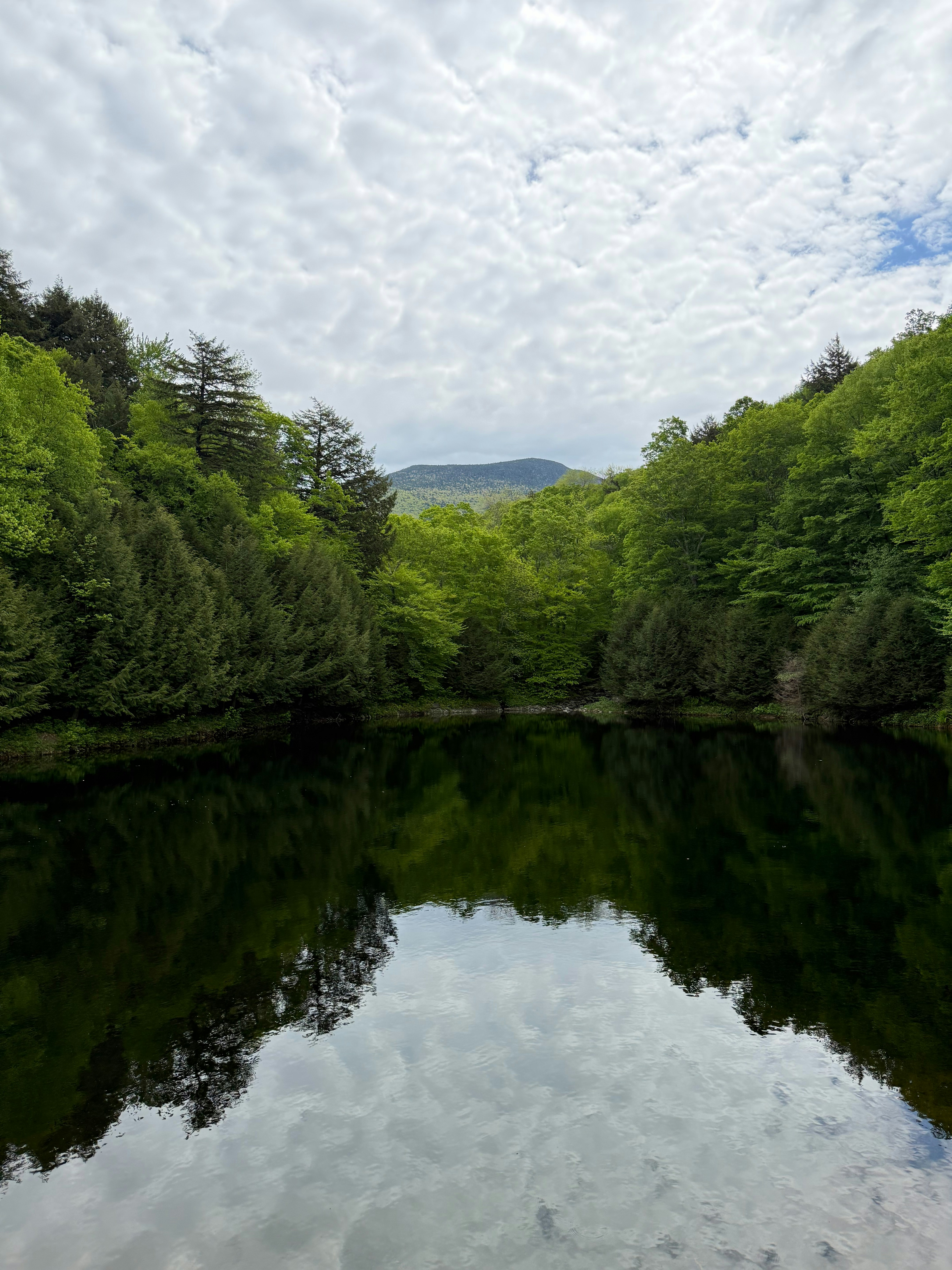 Silent Lake Reverie: Mirror of Green Peaks