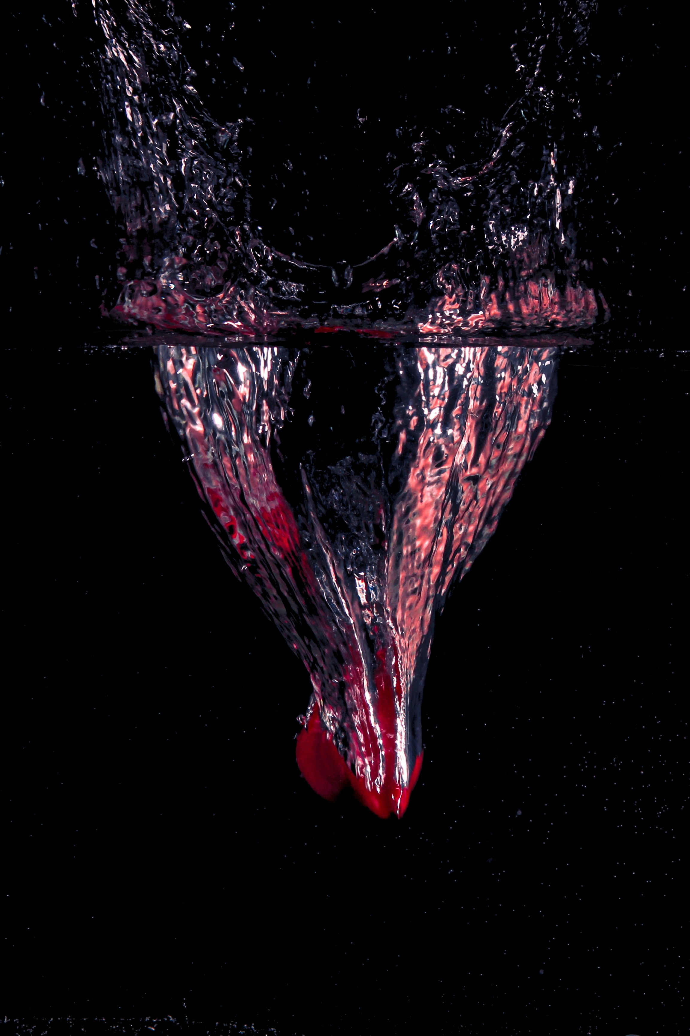 Red-Feathered Arc: A Swan in Slow Descent