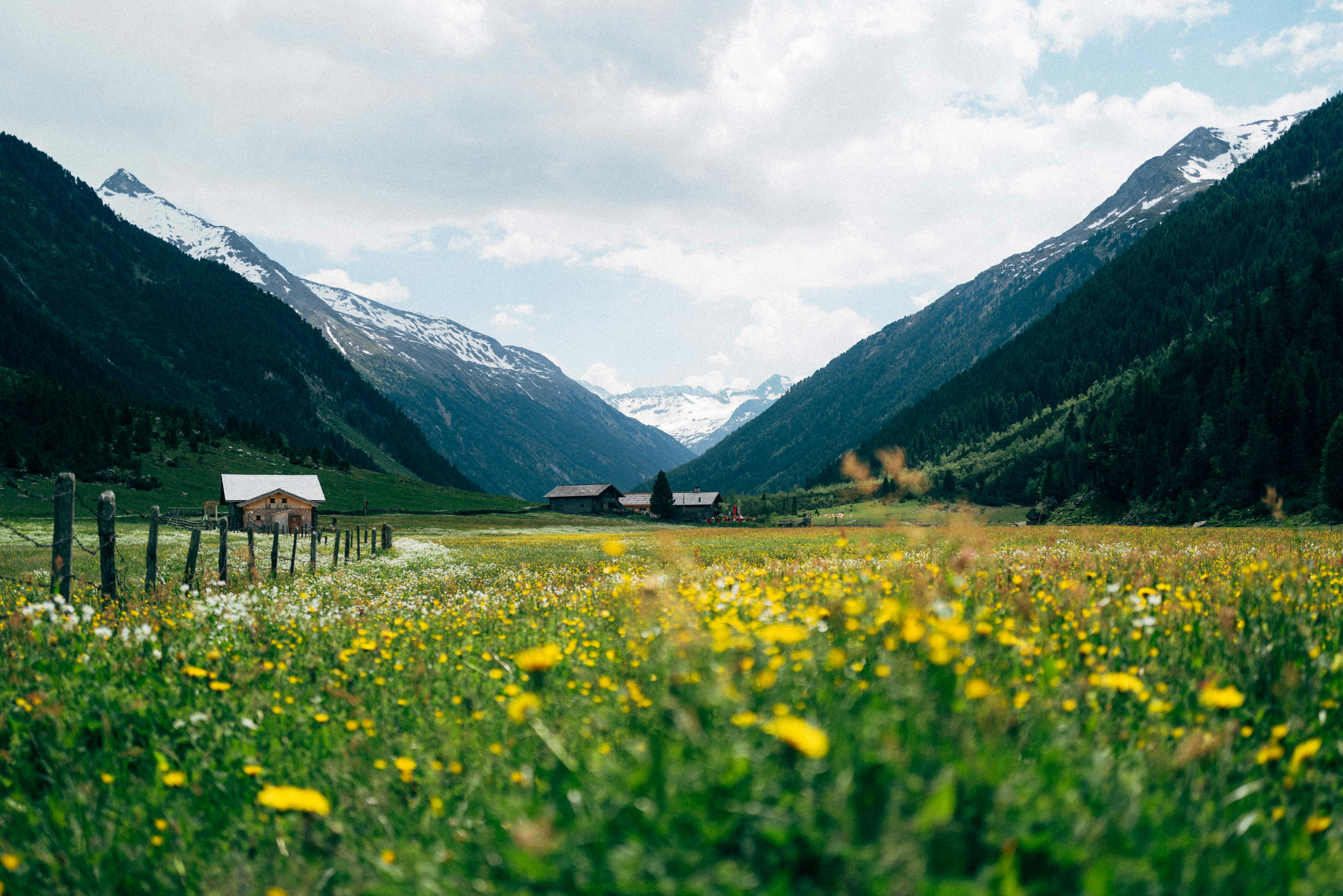 Lush green valley with wildflowers, mountains, and rustic wooden huts.
