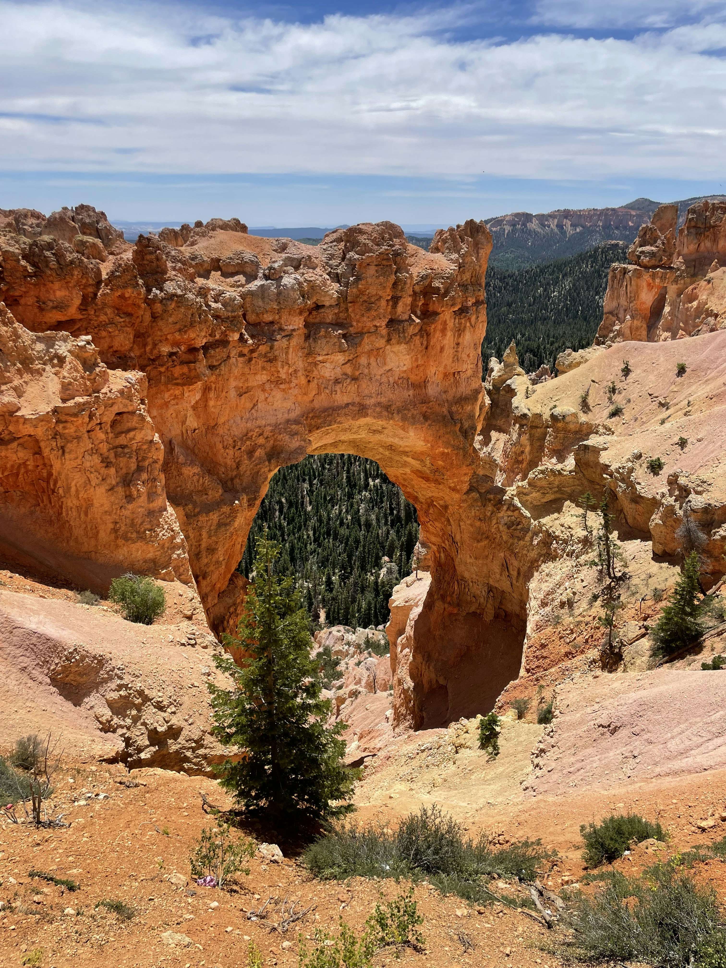 Majestic red rock arch in a vast desert landscape.