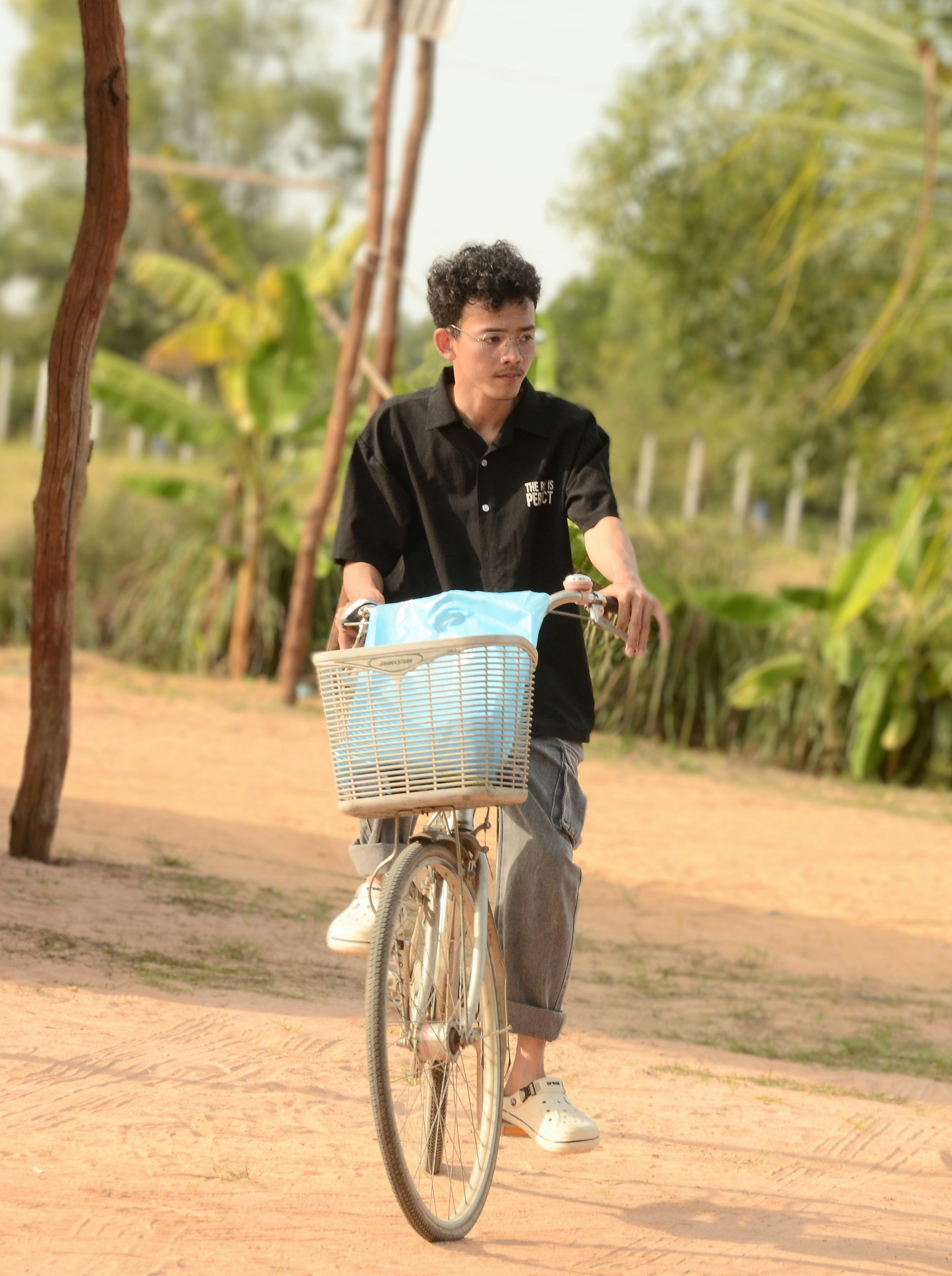 Cyclist in a Sunny Path: A Quiet Ride Amid Banana Trees
