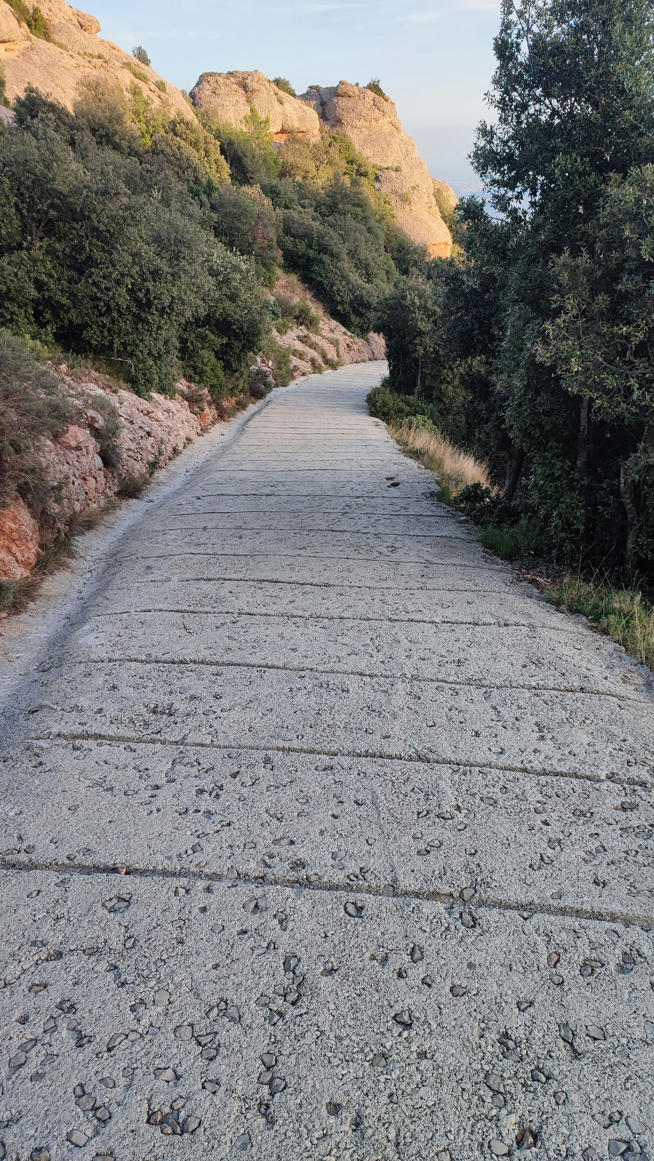 Trail toward the sunlit canyon: a quiet gravel road through rocky cliffs and trees