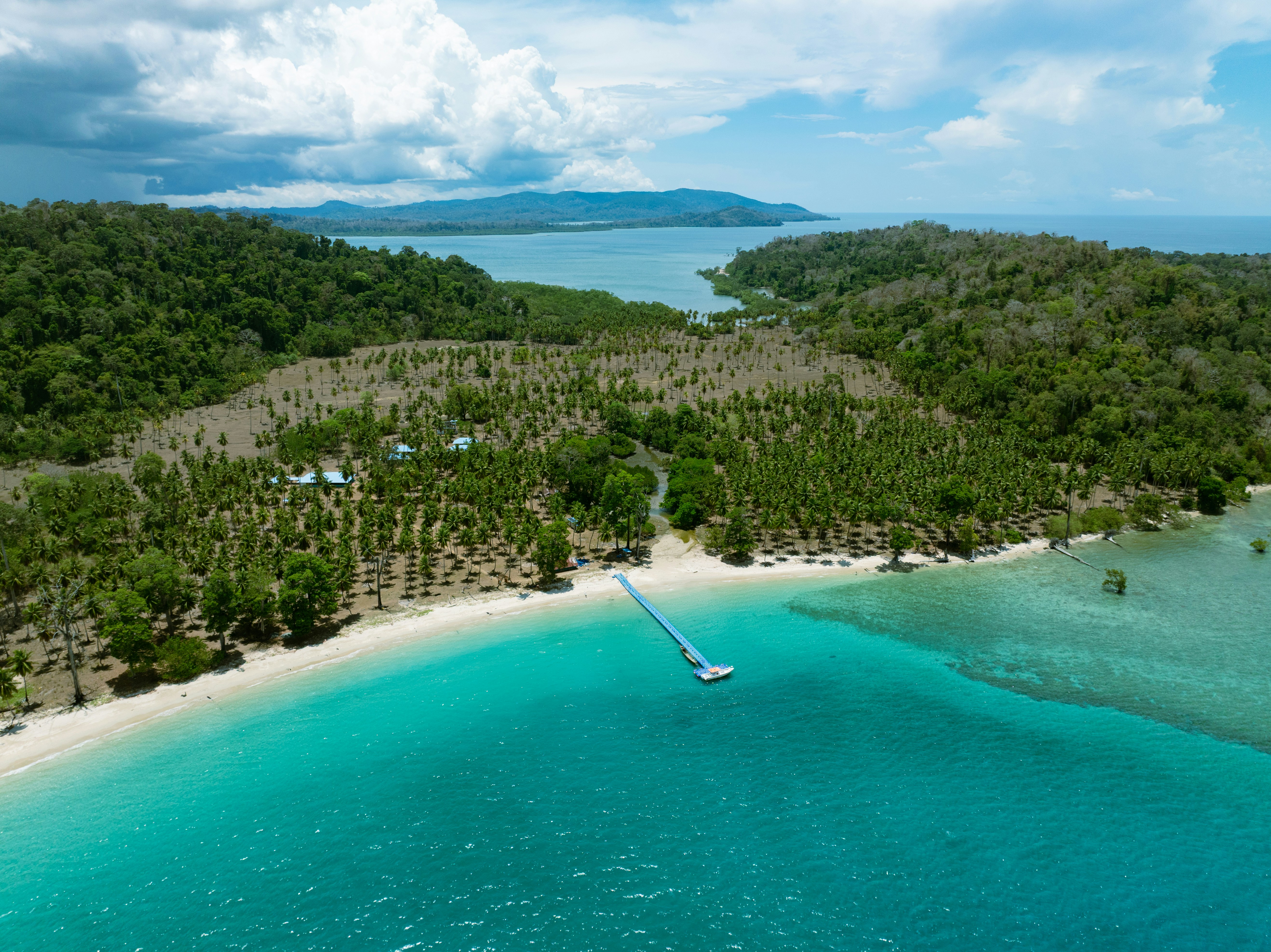 Emerald Waters and Pine-Striped Shoreline from a High Drone View