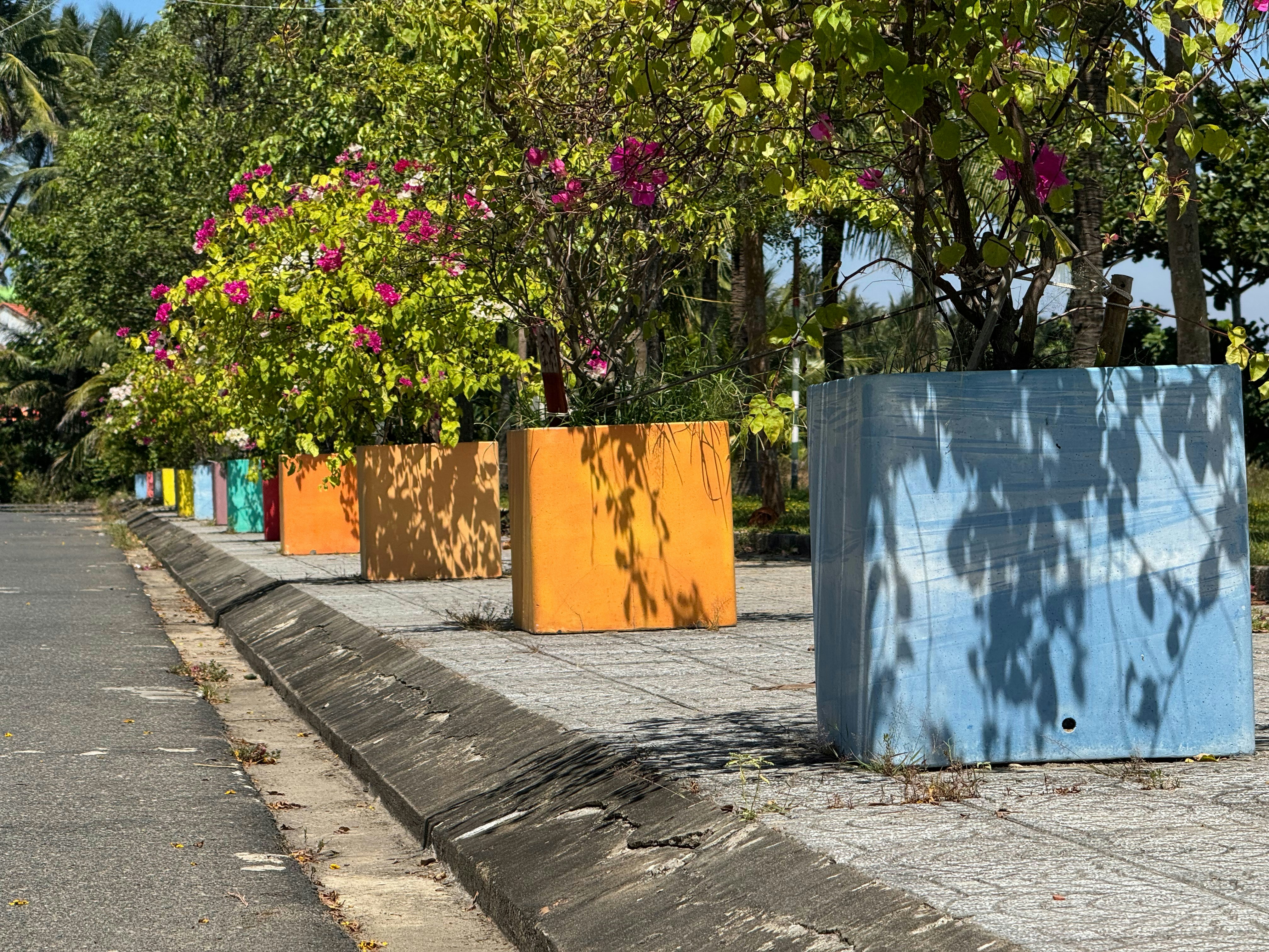 Colorful Planters Line a Sunlit Street