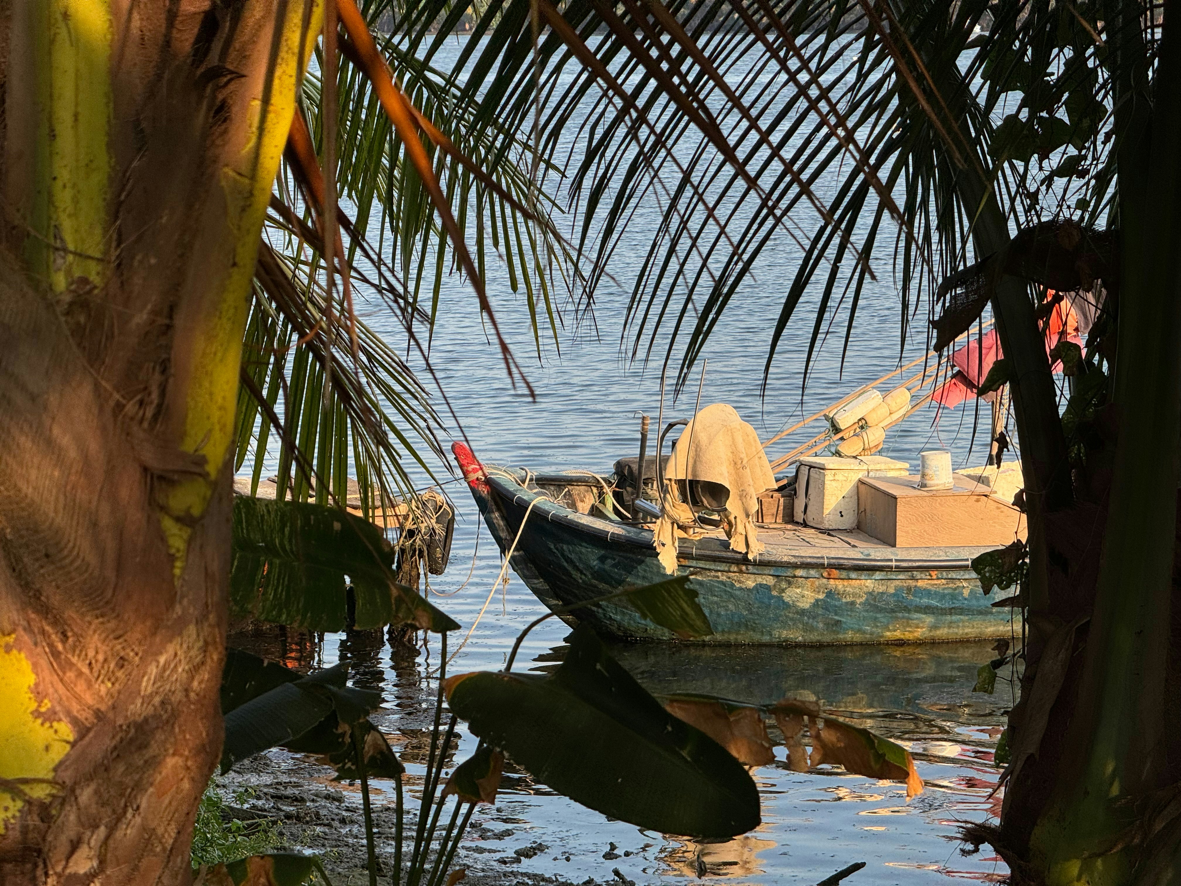 Boat at the Water’s Edge framed by Tropical Foliage