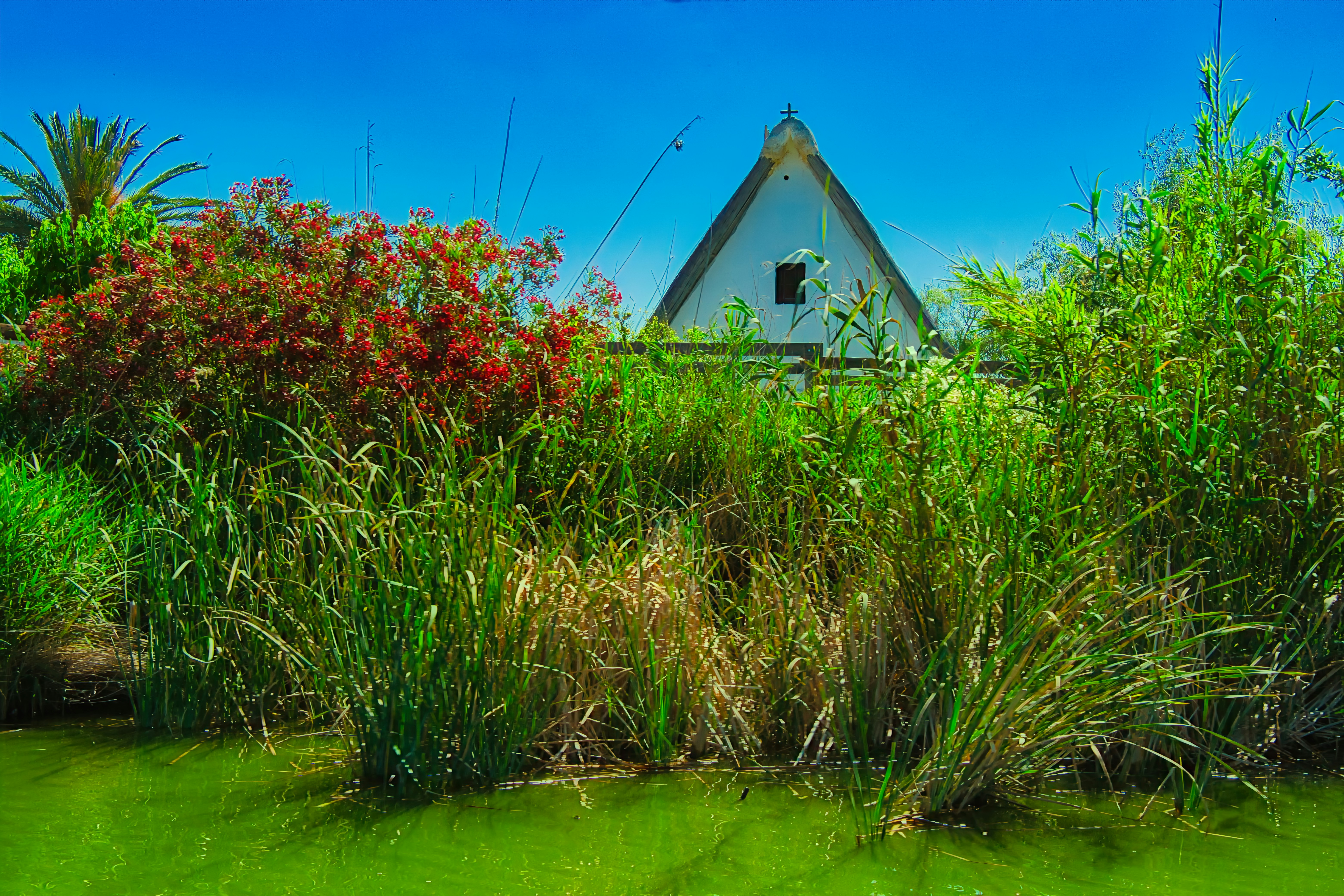 Cottage Overlook: A Calm Fen with a White A-Frame Home