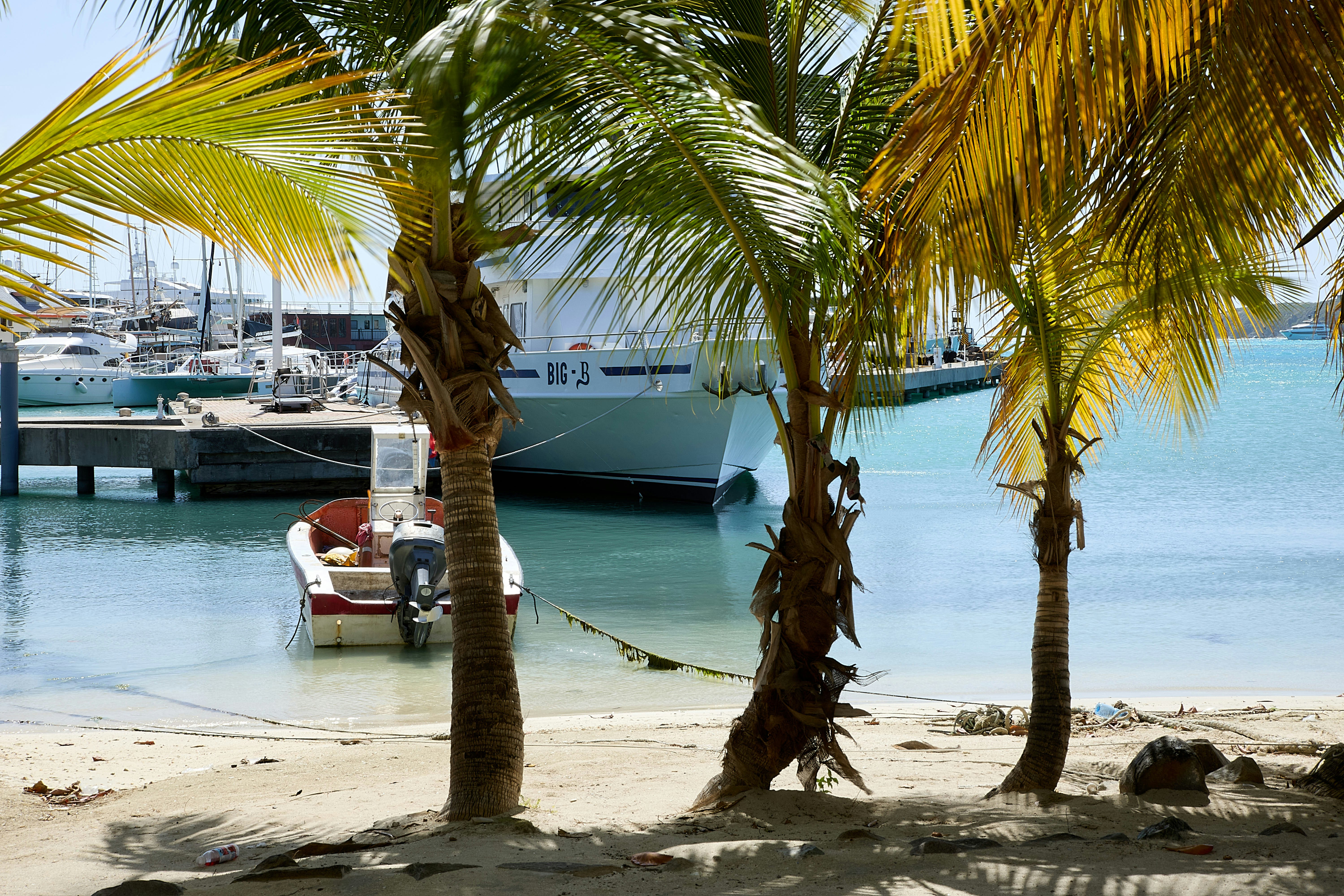 Tropical beach with palm trees, a small boat, and marina.