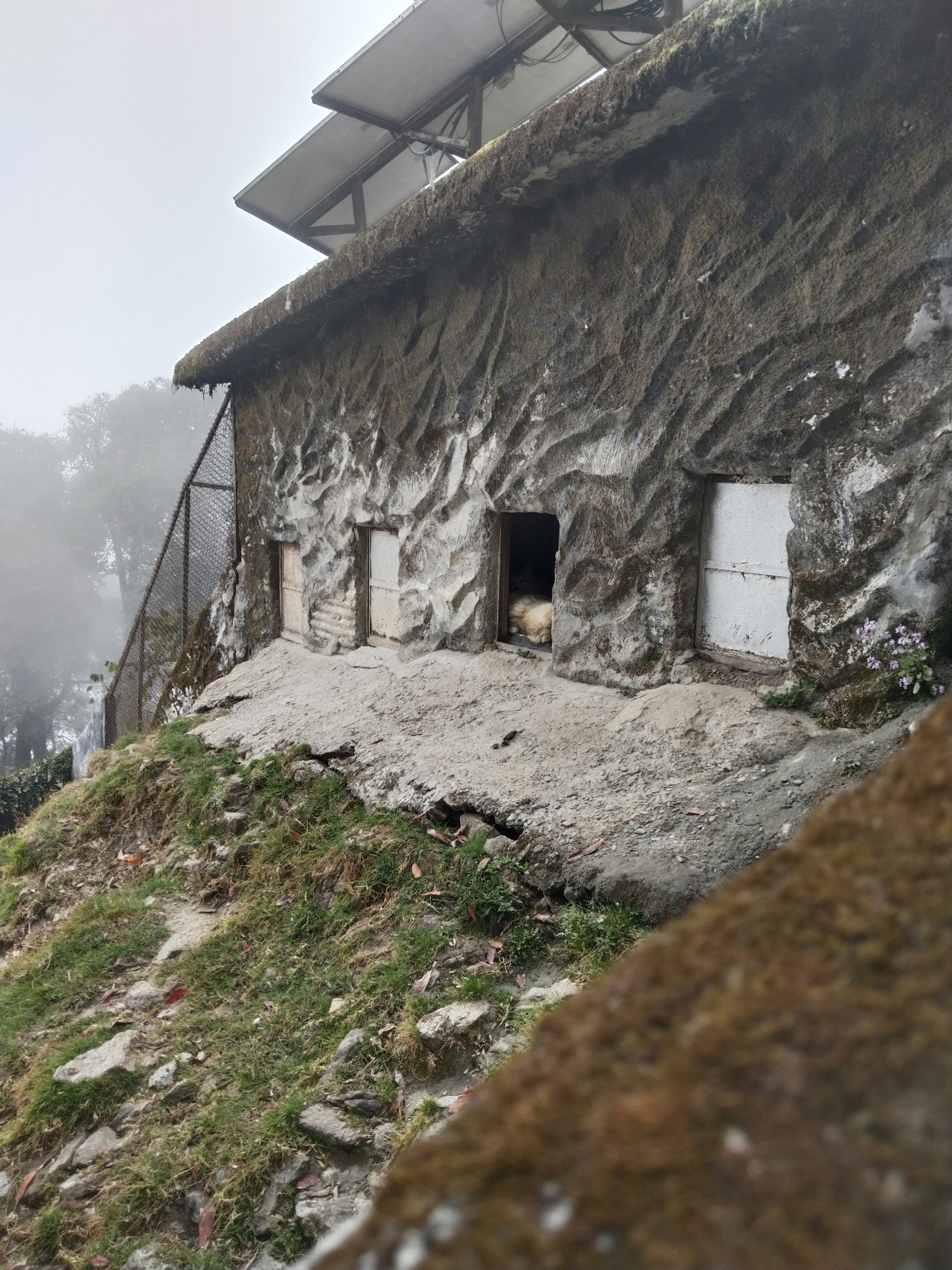 Hidden Dormant in Stone: A Tiny Door with a Soft-Beige Friend
